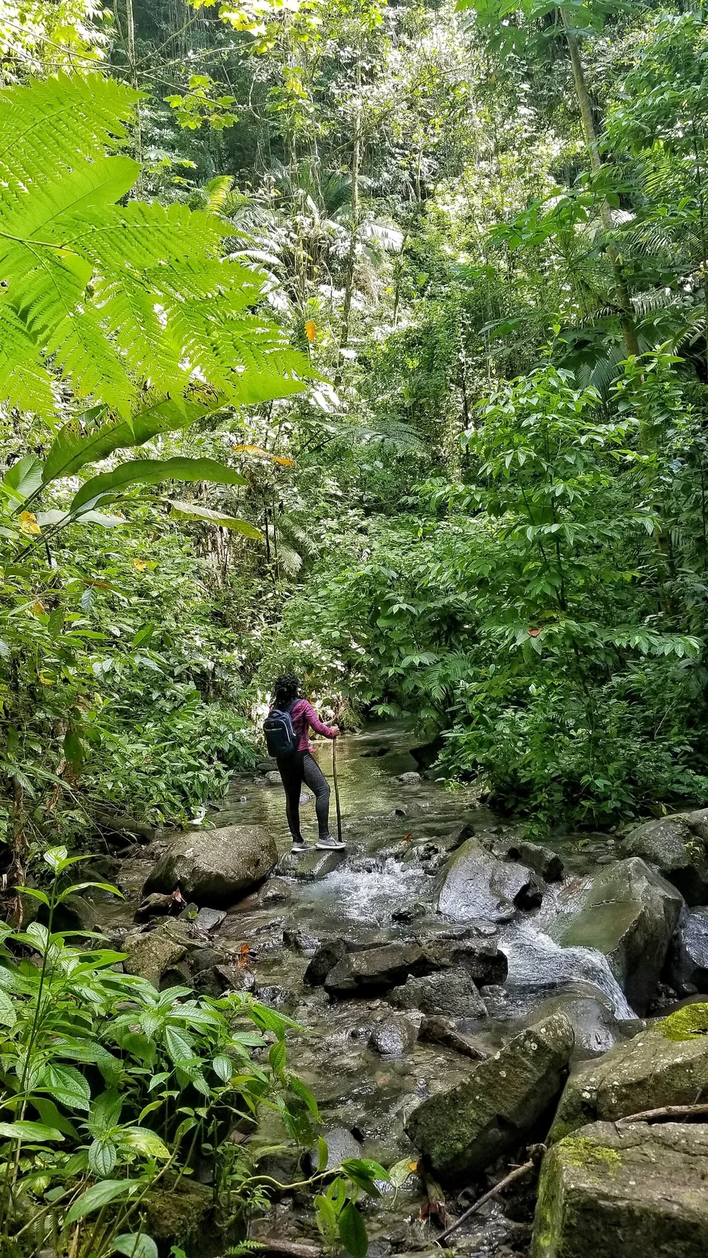 The Majestic Bernard Spring WaterFall — Nature's Sweet Escapes