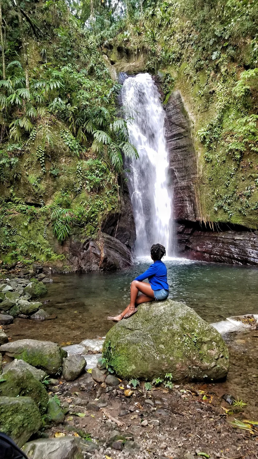 My third visit to Falling Edge Waterfall — Nature's Sweet Escapes