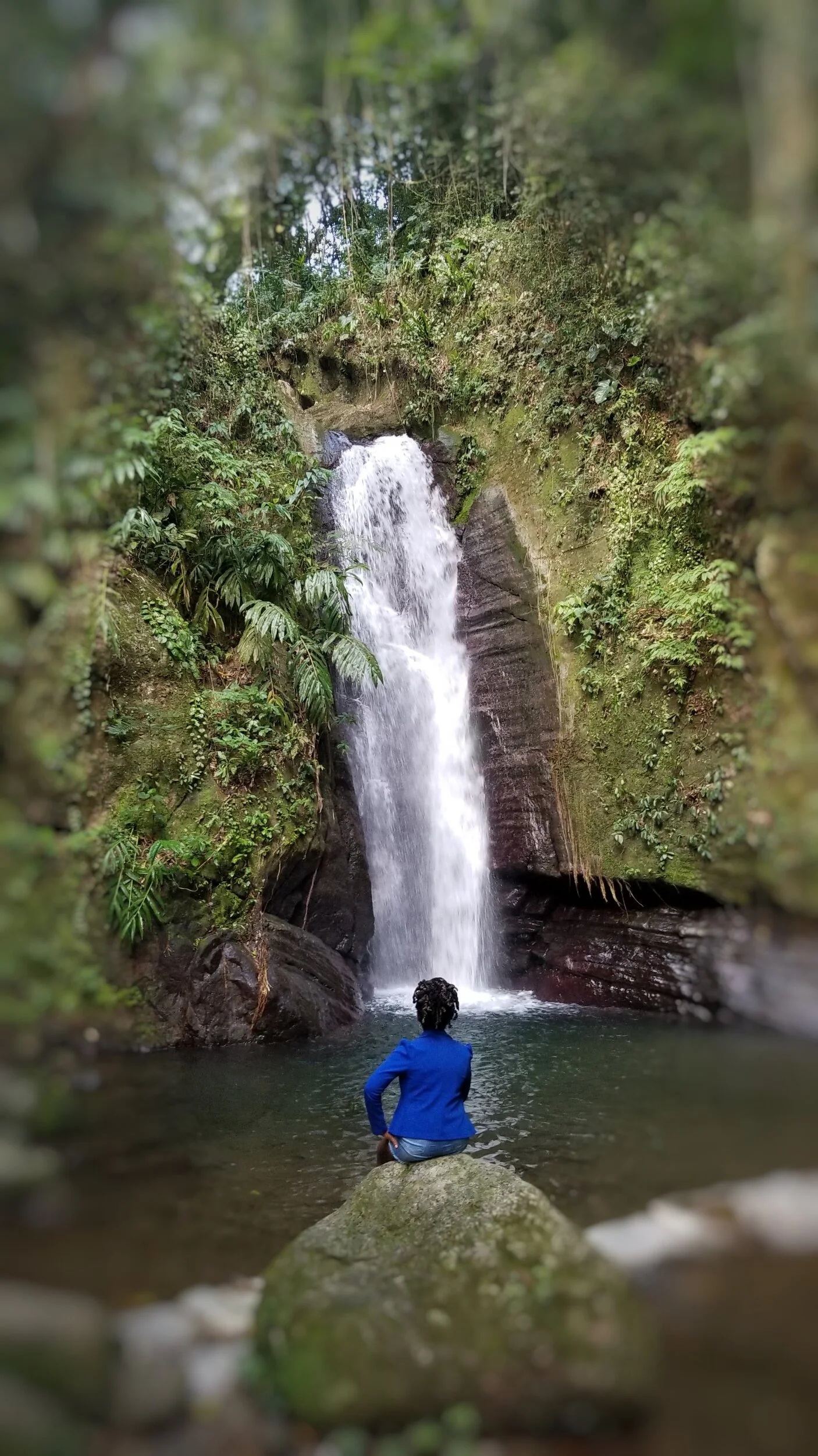 My third visit to Falling Edge Waterfall — Nature's Sweet Escapes