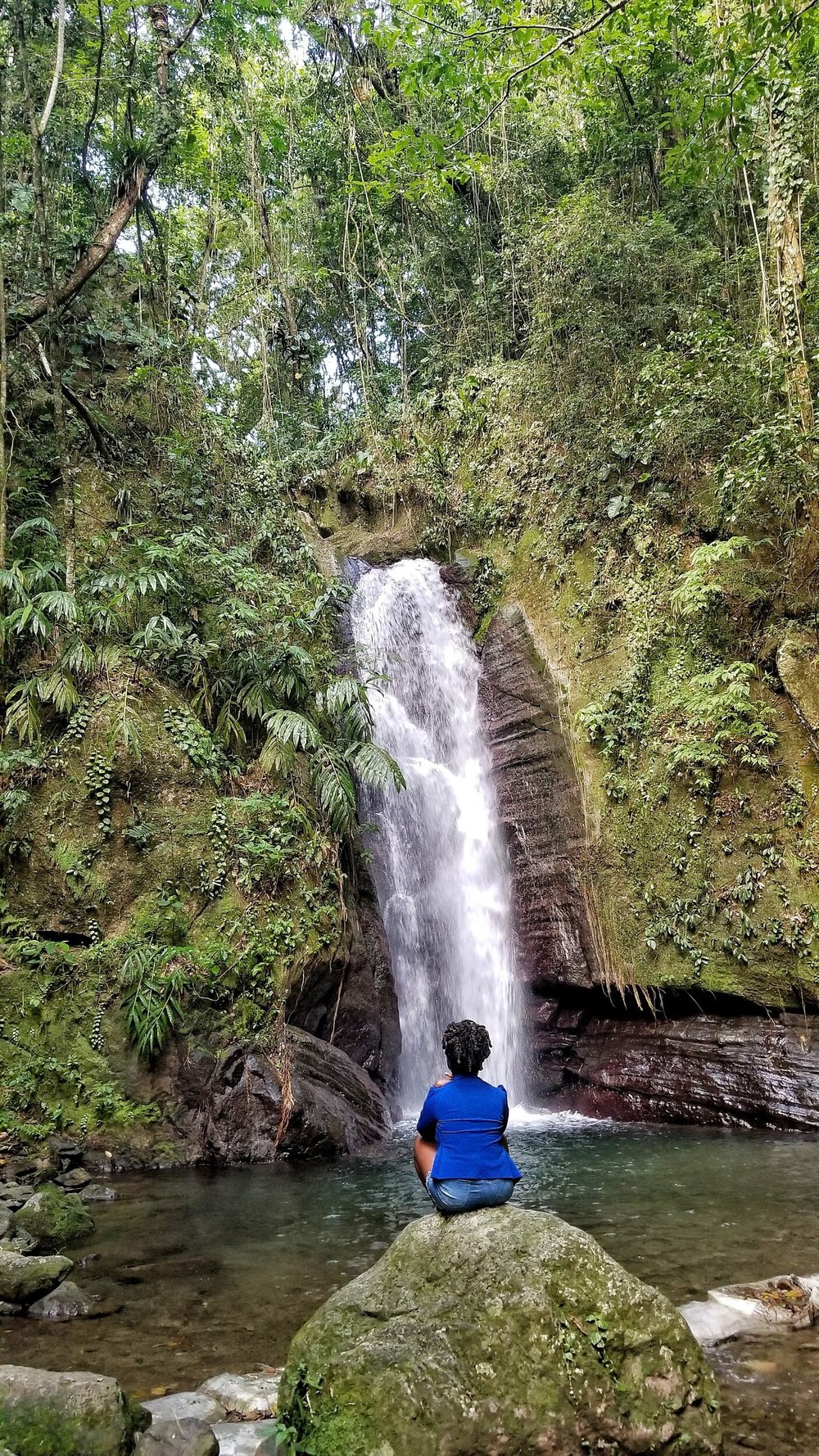 My third visit to Falling Edge Waterfall — Nature's Sweet Escapes