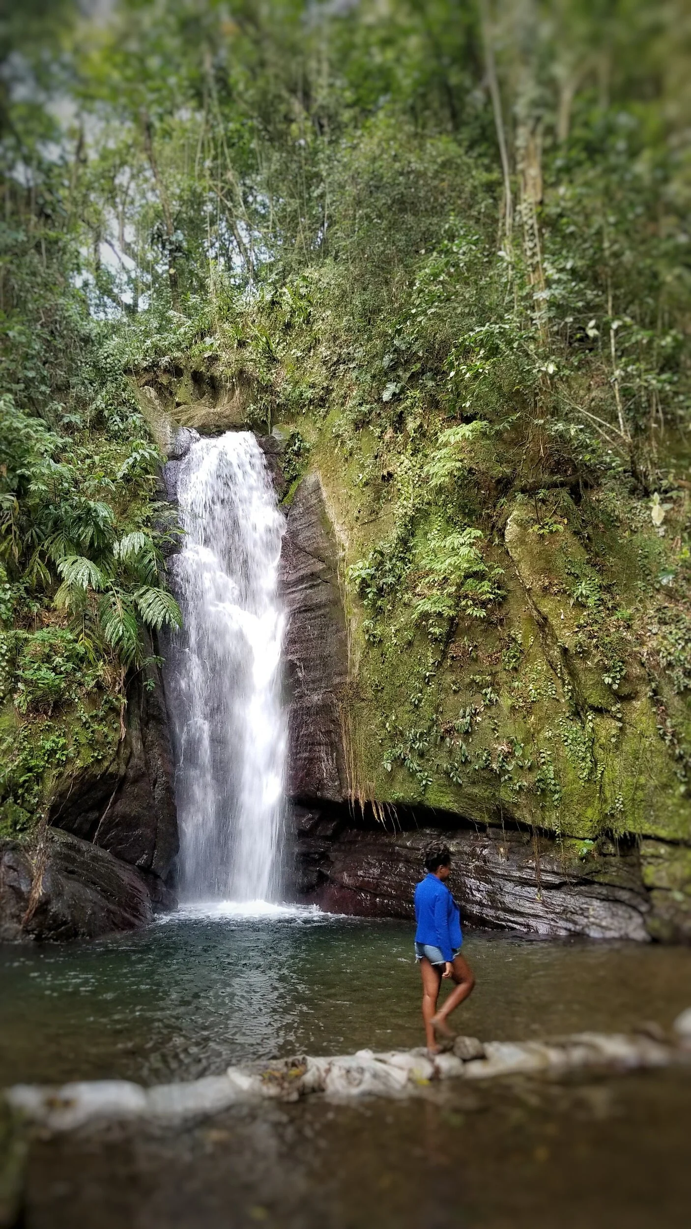 My third visit to Falling Edge Waterfall — Nature's Sweet Escapes
