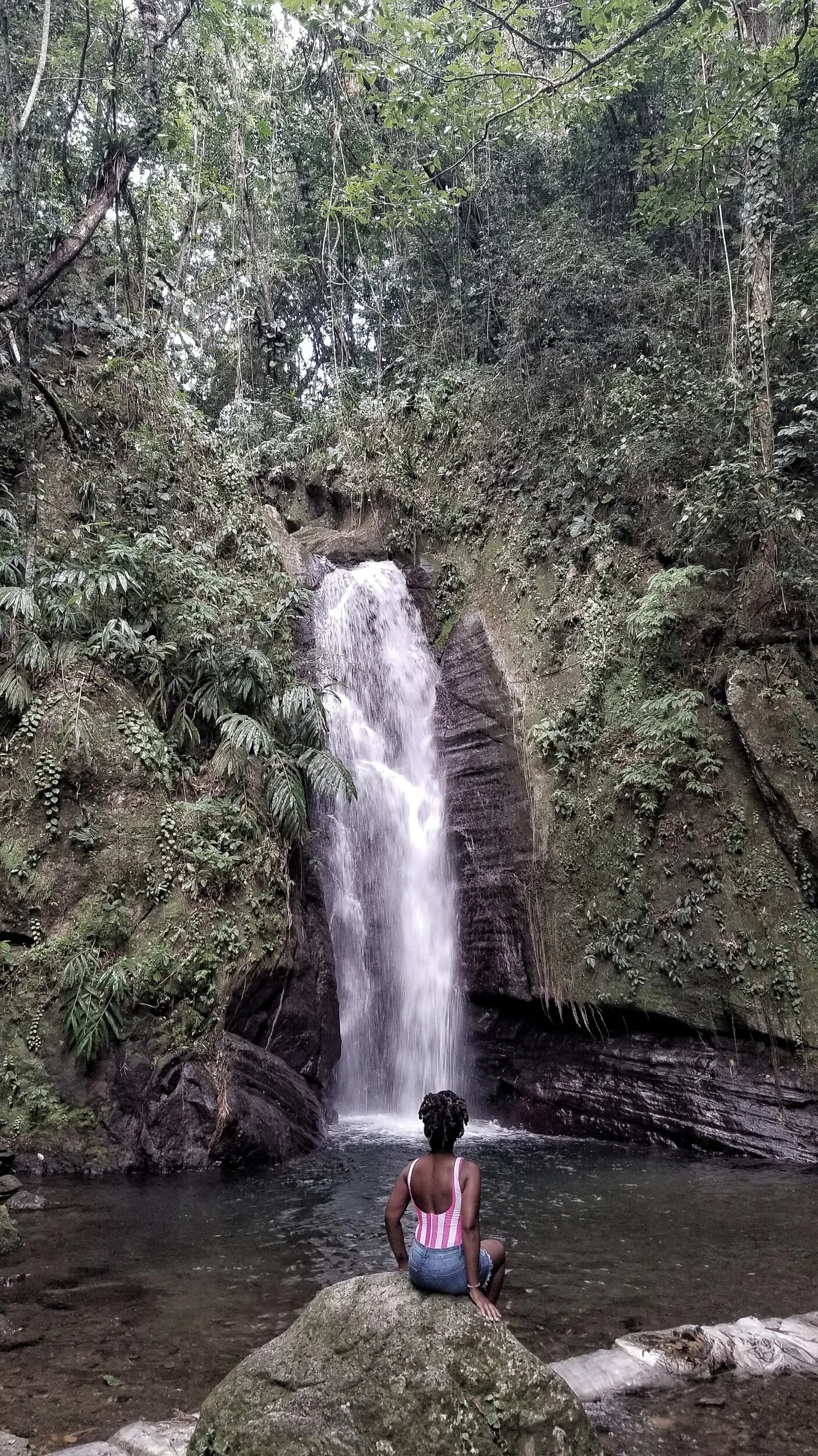 My third visit to Falling Edge Waterfall — Nature's Sweet Escapes