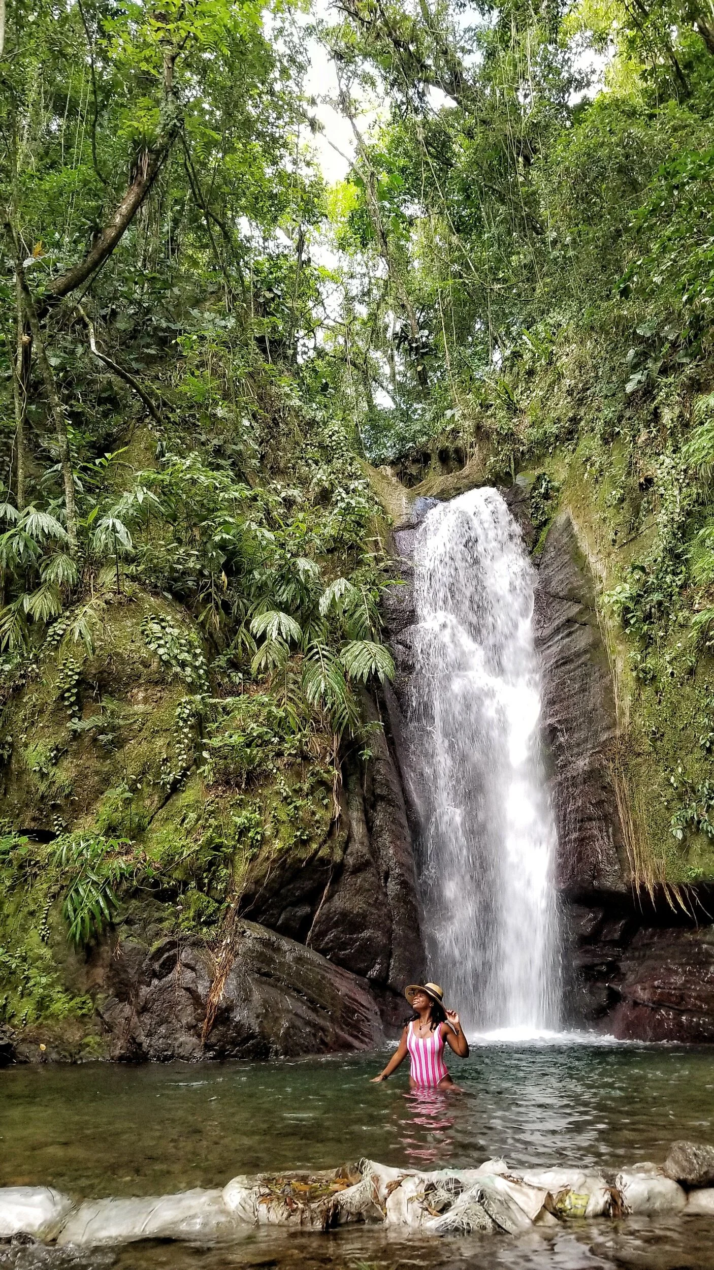 My third visit to Falling Edge Waterfall — Nature's Sweet Escapes
