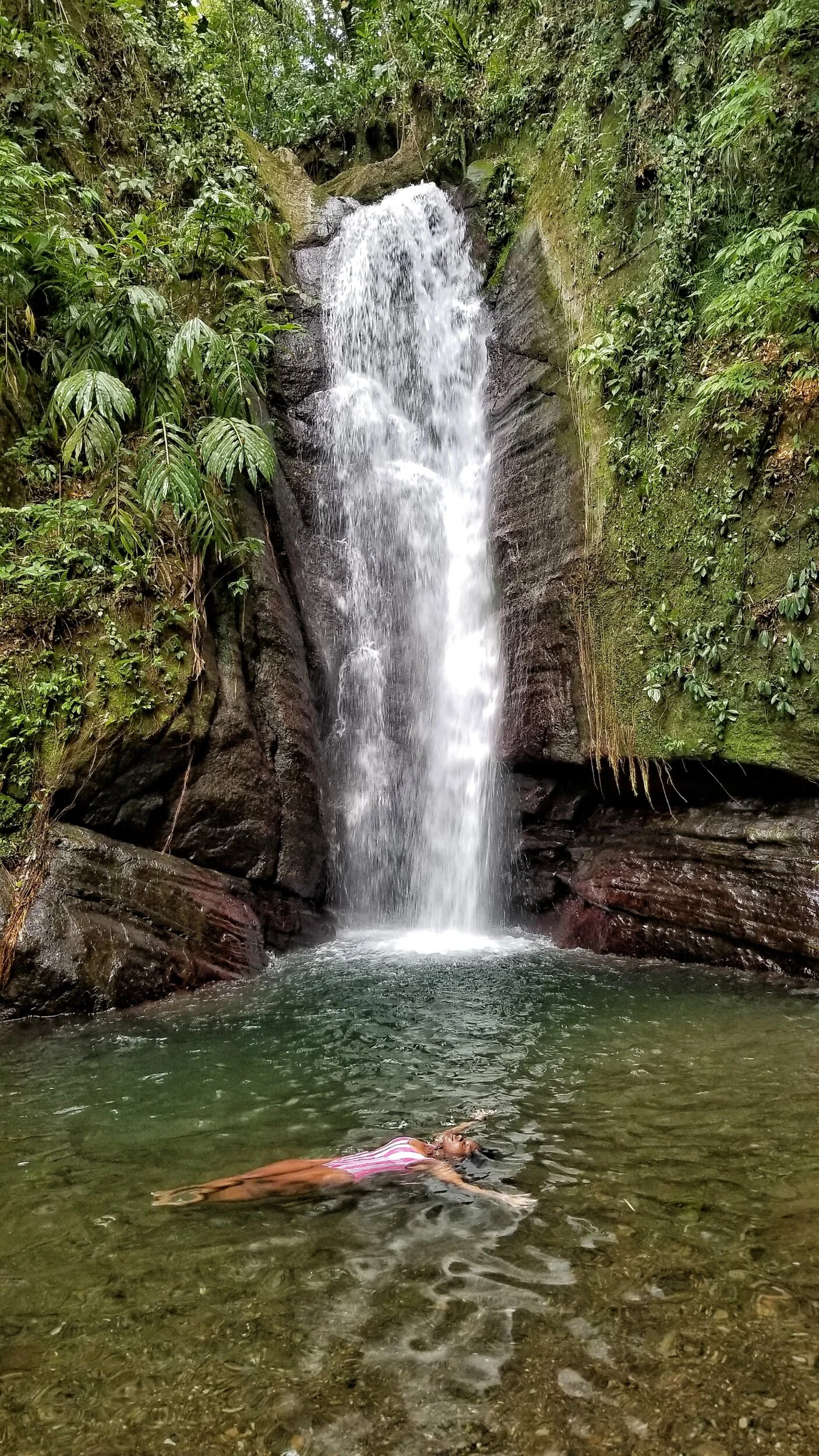 My third visit to Falling Edge Waterfall — Nature's Sweet Escapes