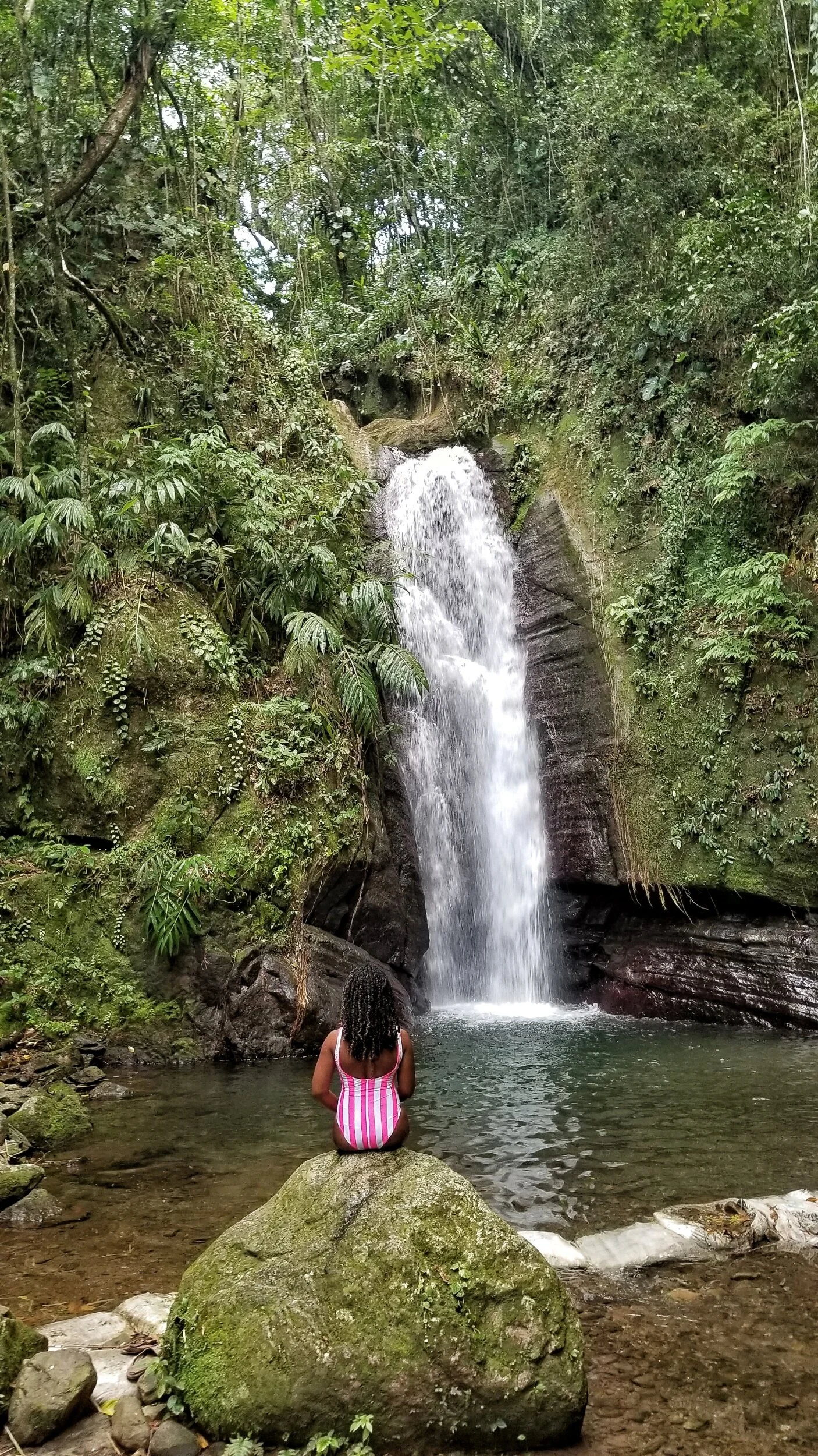 My third visit to Falling Edge Waterfall — Nature's Sweet Escapes