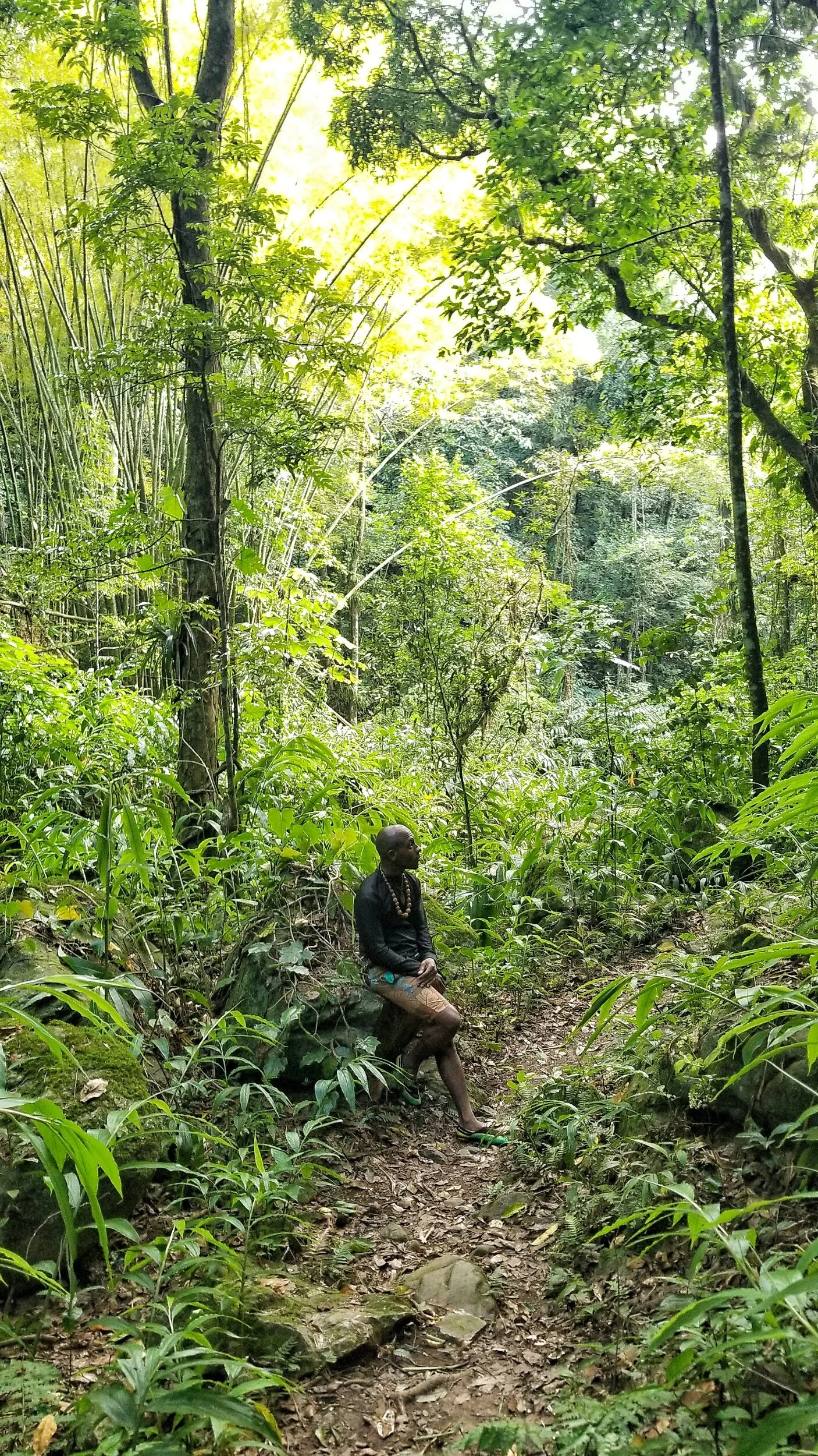 My third visit to Falling Edge Waterfall — Nature's Sweet Escapes