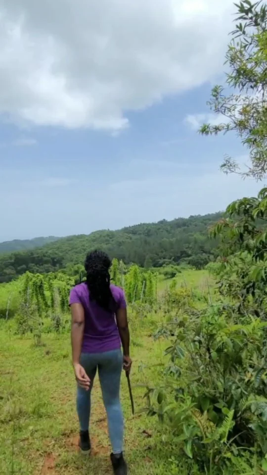 A voyage to Breadnut Valley Falls in St.Elizabeth — Nature's Sweet Escapes