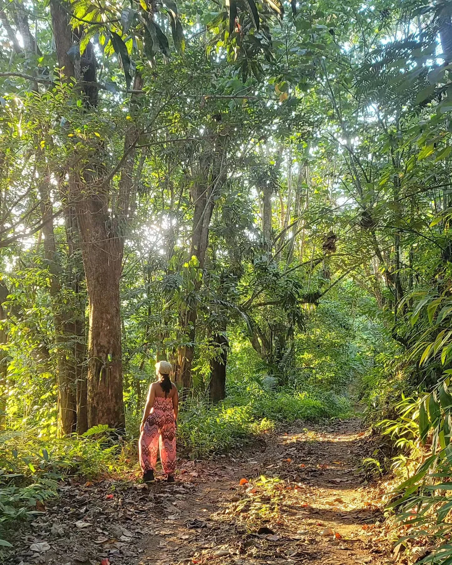 Images that will motivate you to explore Kwame Falls — Nature's Sweet Escapes