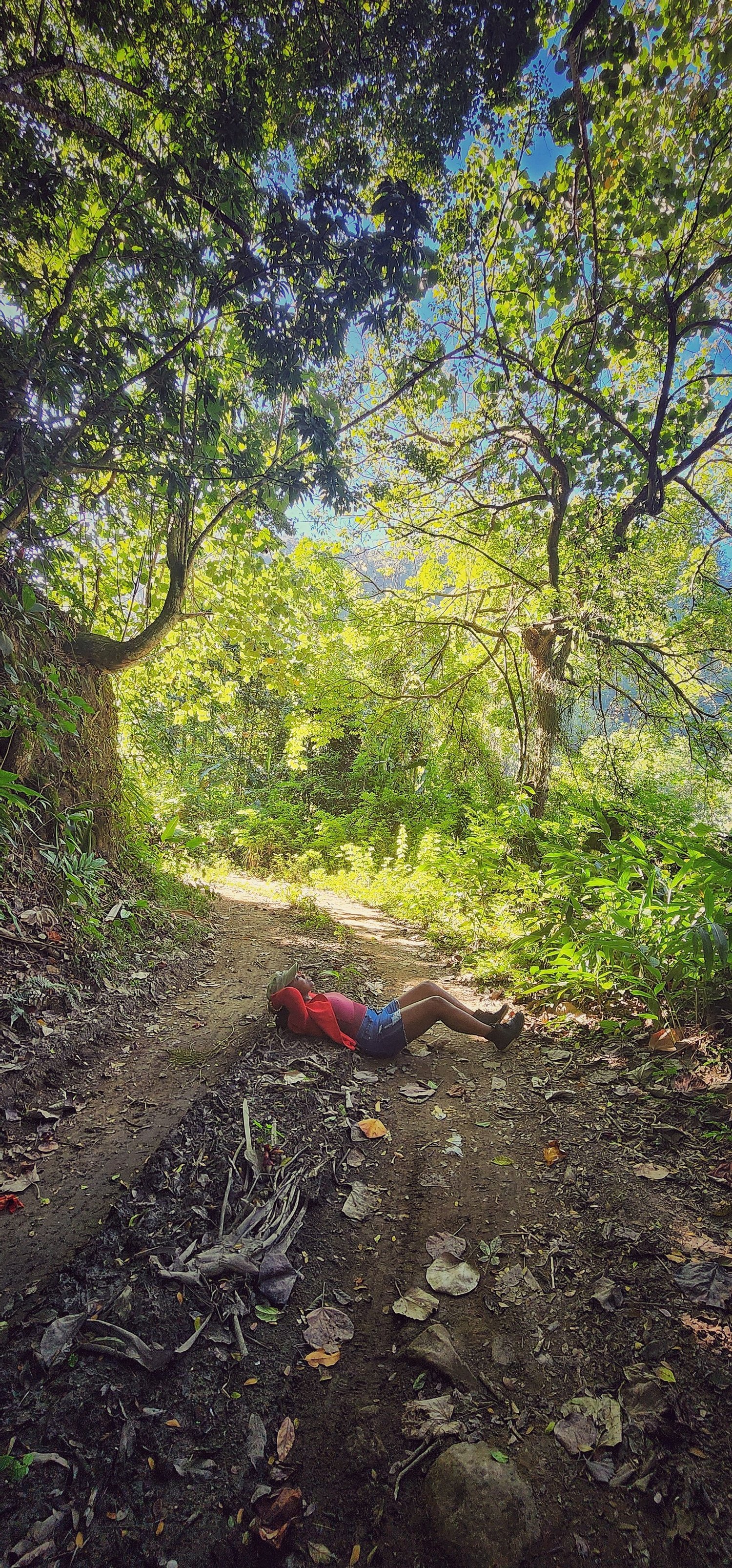 Exploring Mount Airy: A Hidden Gem for Nature Lovers — Nature's Sweet ...