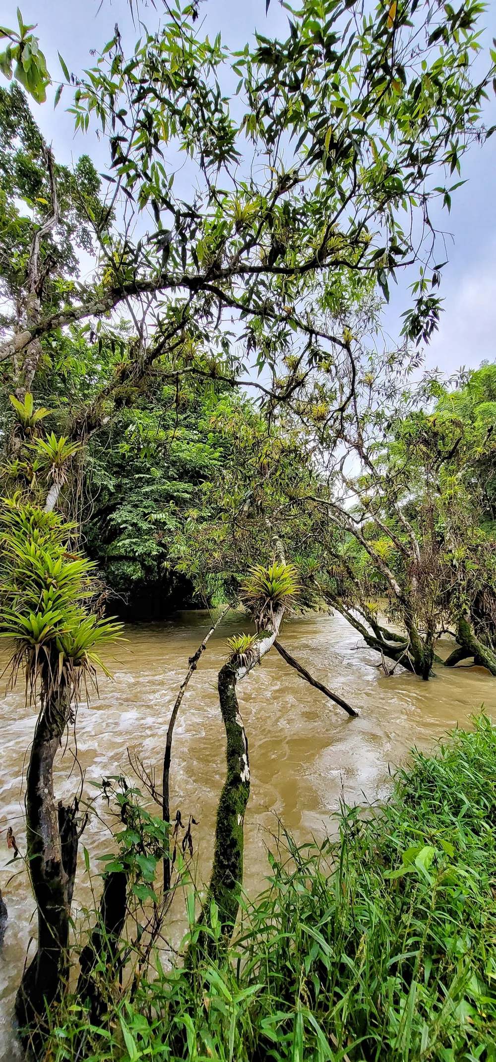 Exploring Hidden Gems: A Journey Through Trelawny's Treasures — Nature ...