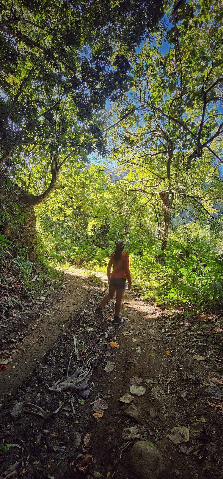 Exploring Mount Airy: A Hidden Gem for Nature Lovers — Nature's Sweet ...