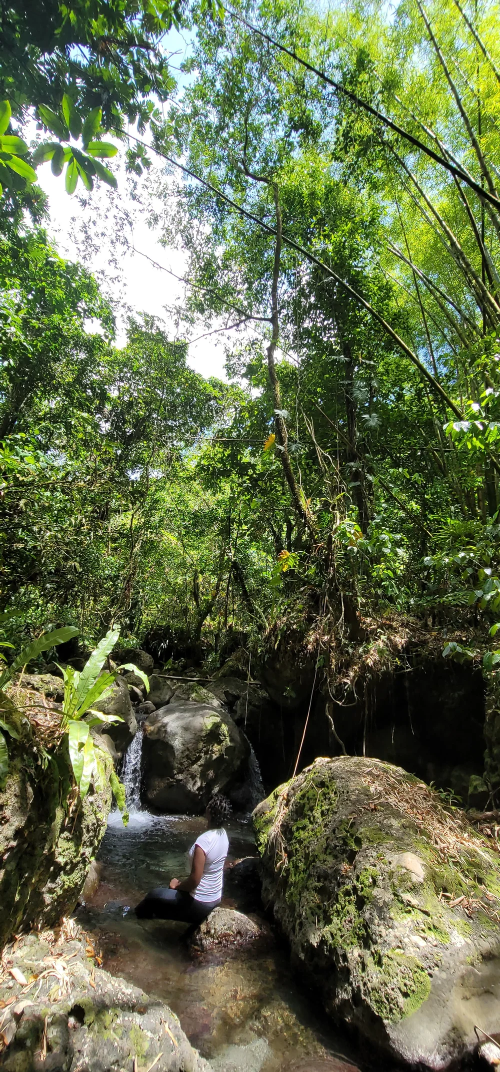 Exploring Nature's Sweet Escapes: Island River Waterfall St Thomas ...