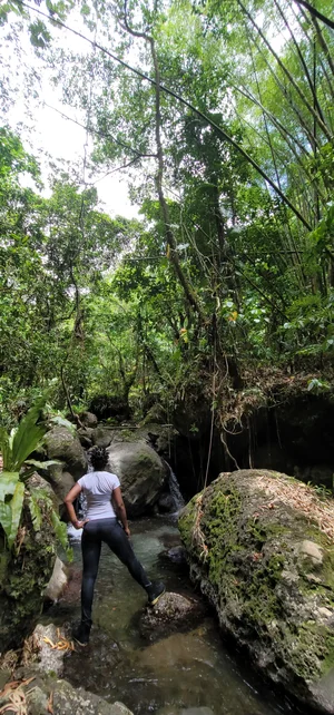 Exploring Nature's Sweet Escapes: Island River Waterfall St Thomas ...