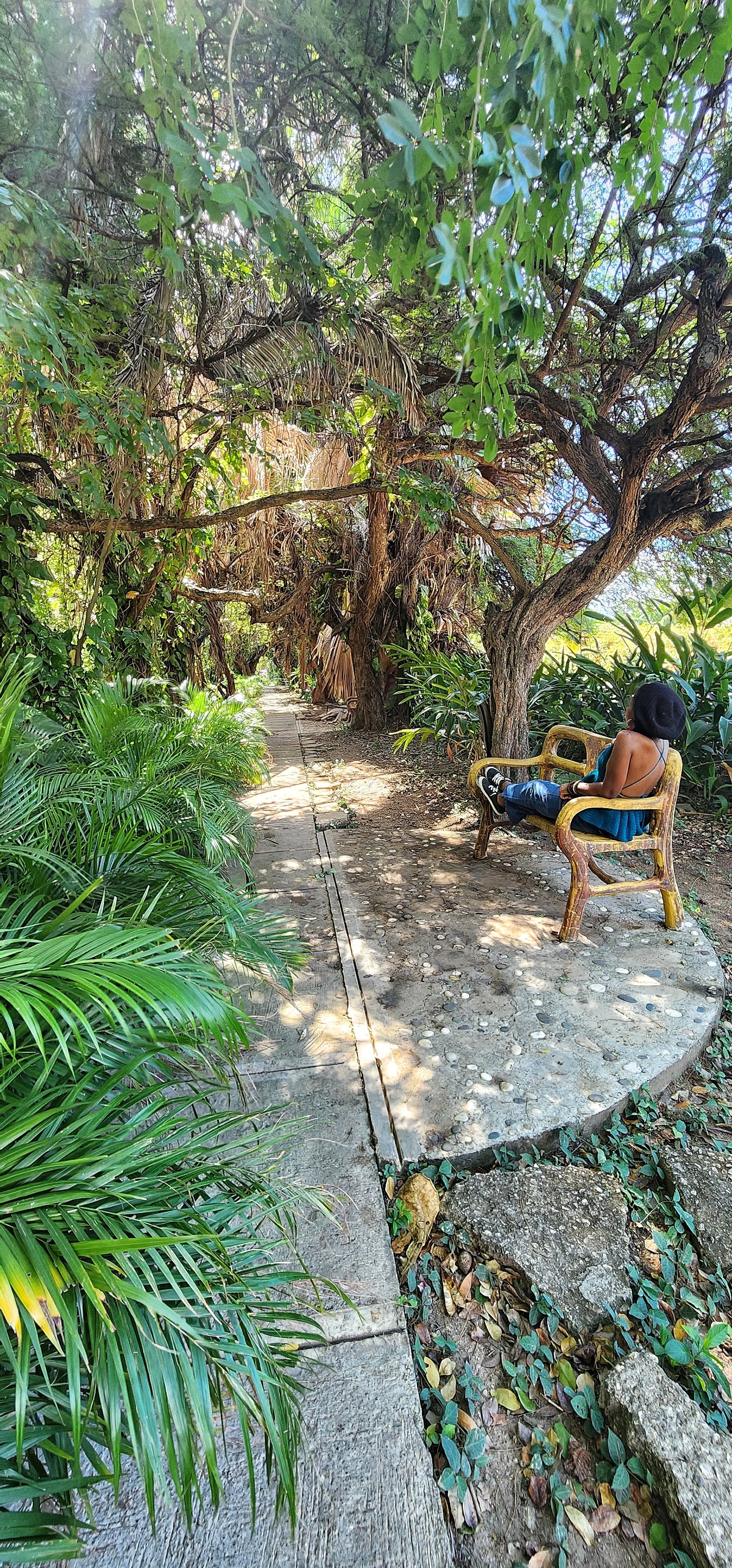 Hope Gardens & Zoo: Kingston’s Green Sanctuary — Nature's Sweet Escapes