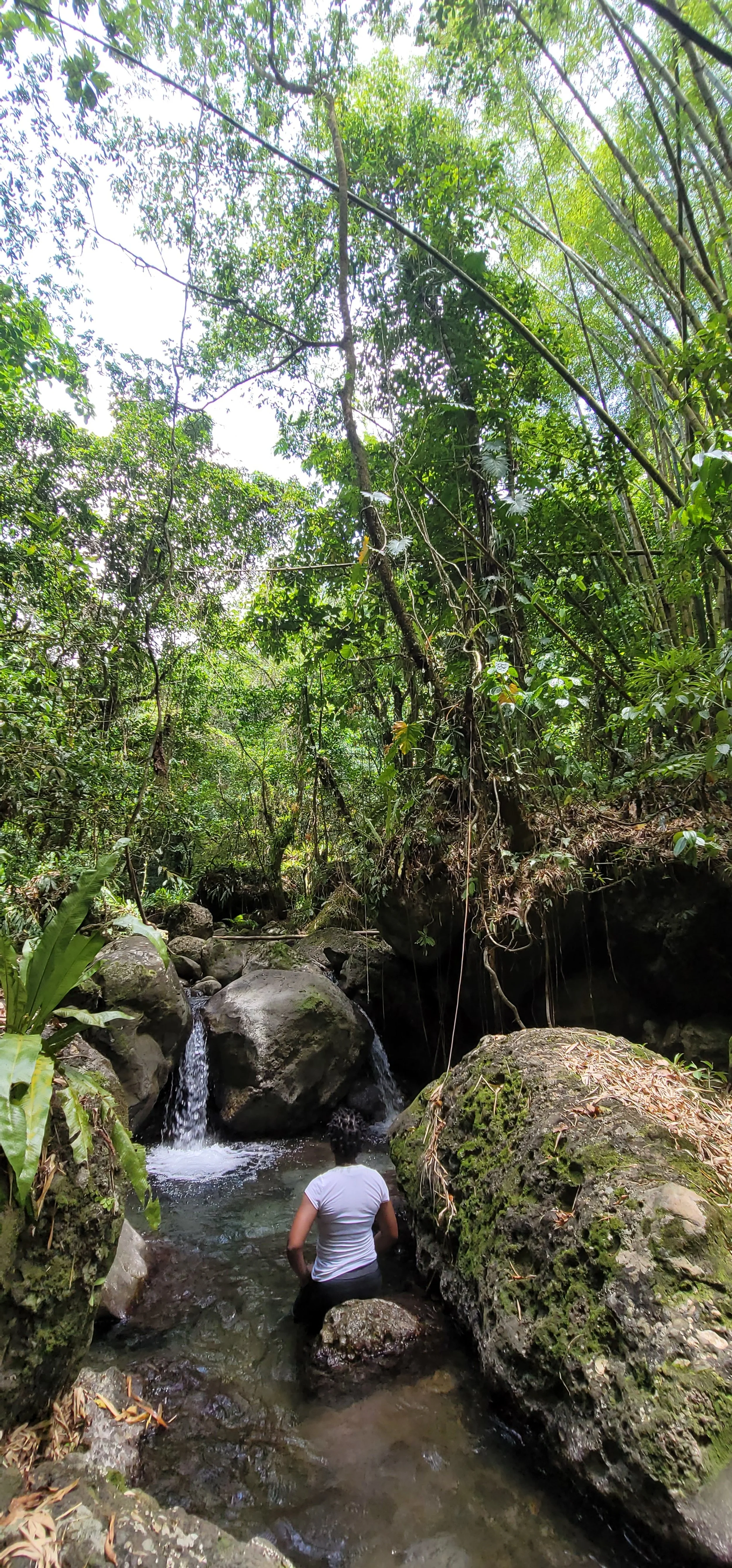 Exploring Nature's Sweet Escapes: Island River Waterfall St Thomas ...