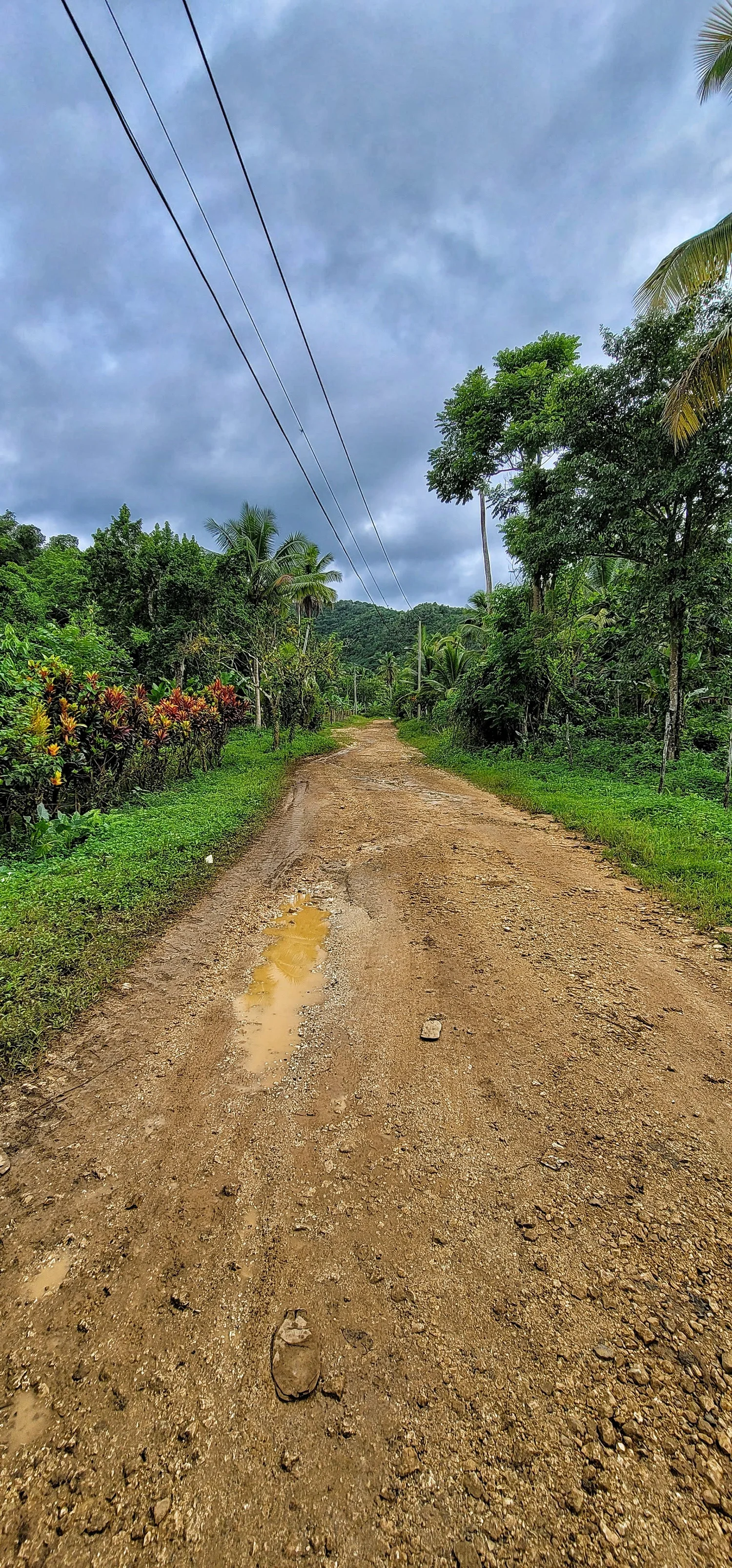 Exploring Hidden Gems: A Journey Through Trelawny's Treasures — Nature ...