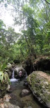 Exploring Nature's Sweet Escapes: Island River Waterfall St Thomas ...