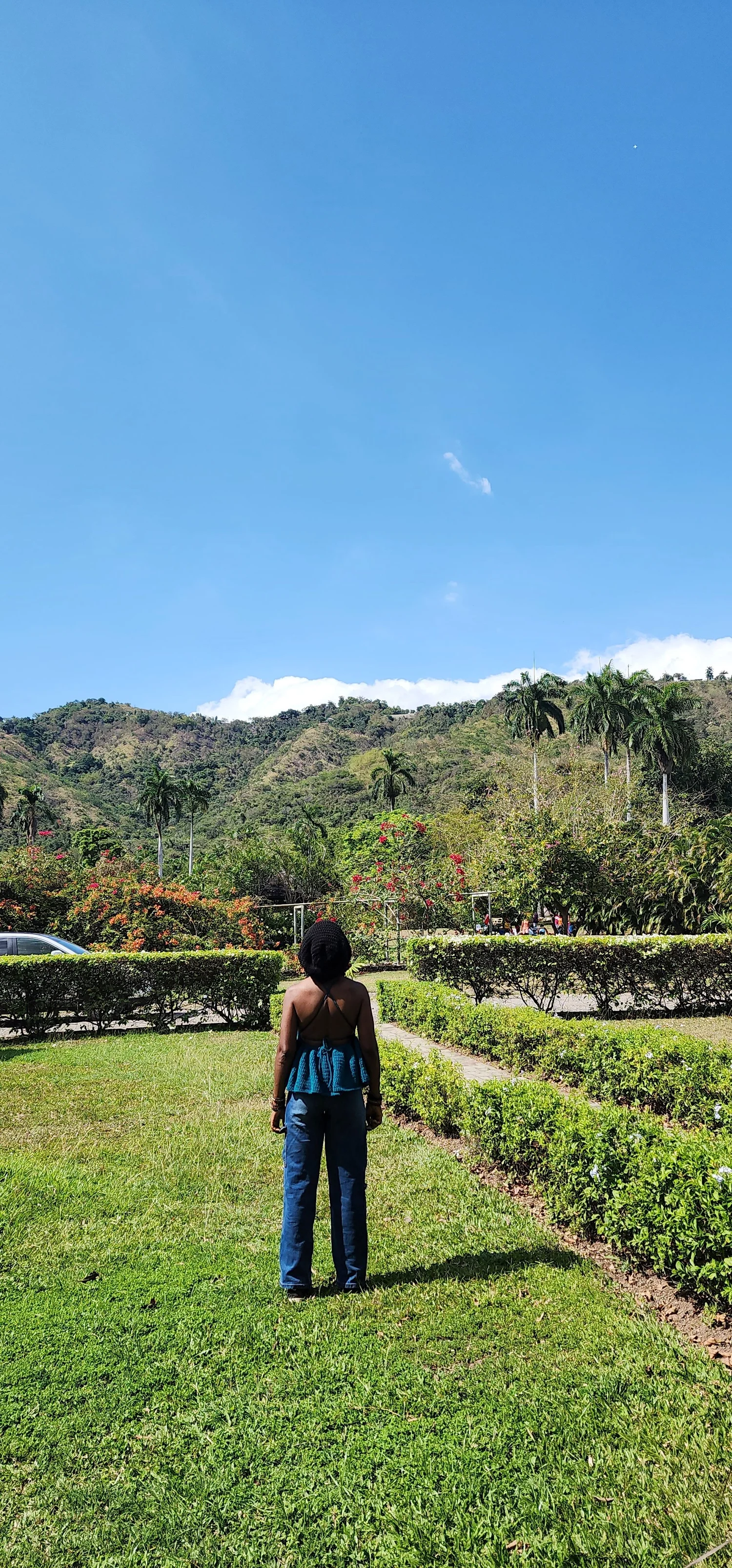 Hope Gardens & Zoo: Kingston’s Green Sanctuary — Nature's Sweet Escapes