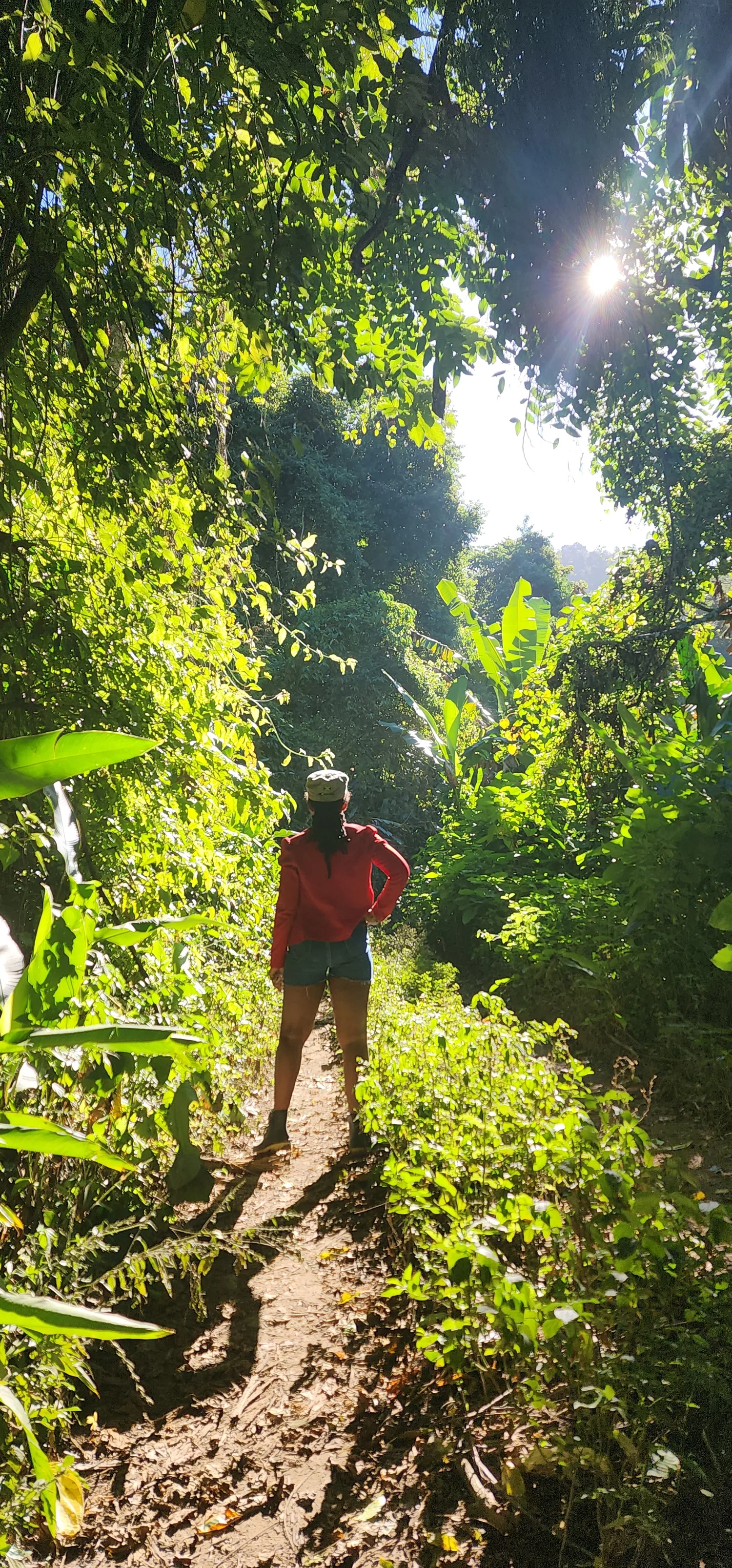 Exploring Mount Airy: A Hidden Gem for Nature Lovers — Nature's Sweet ...