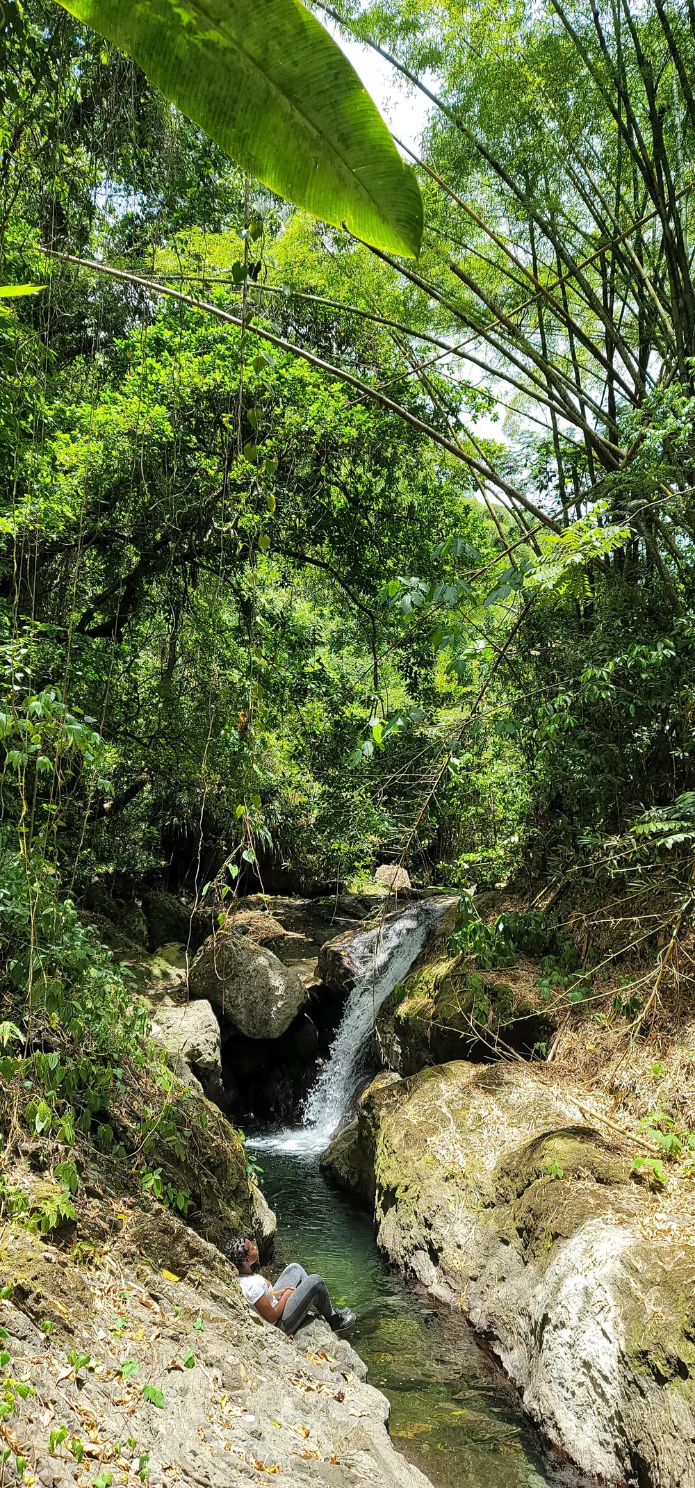 Exploring the Hidden Waterfalls of St. Thomas: A Journey to Island ...