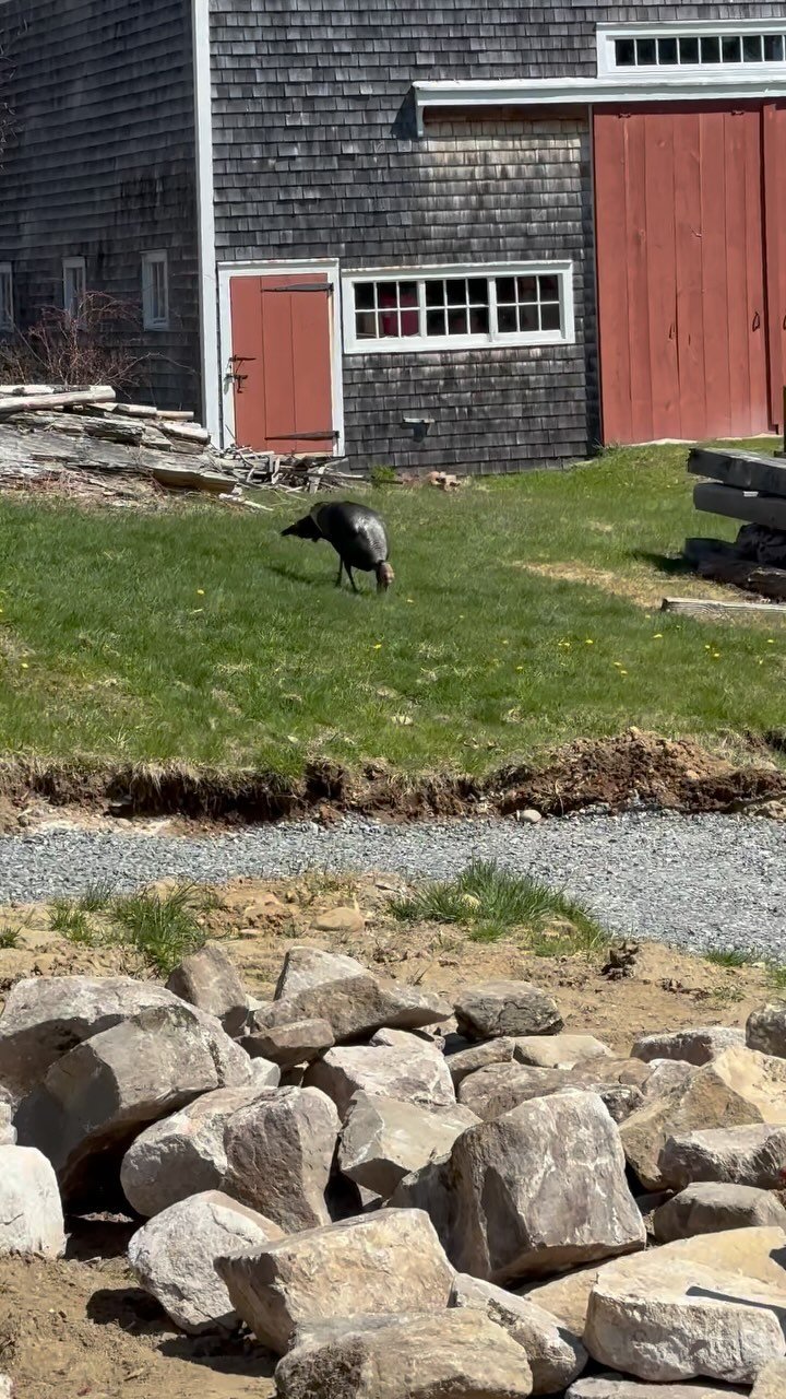 Norton Stoneworks- Creative Stone