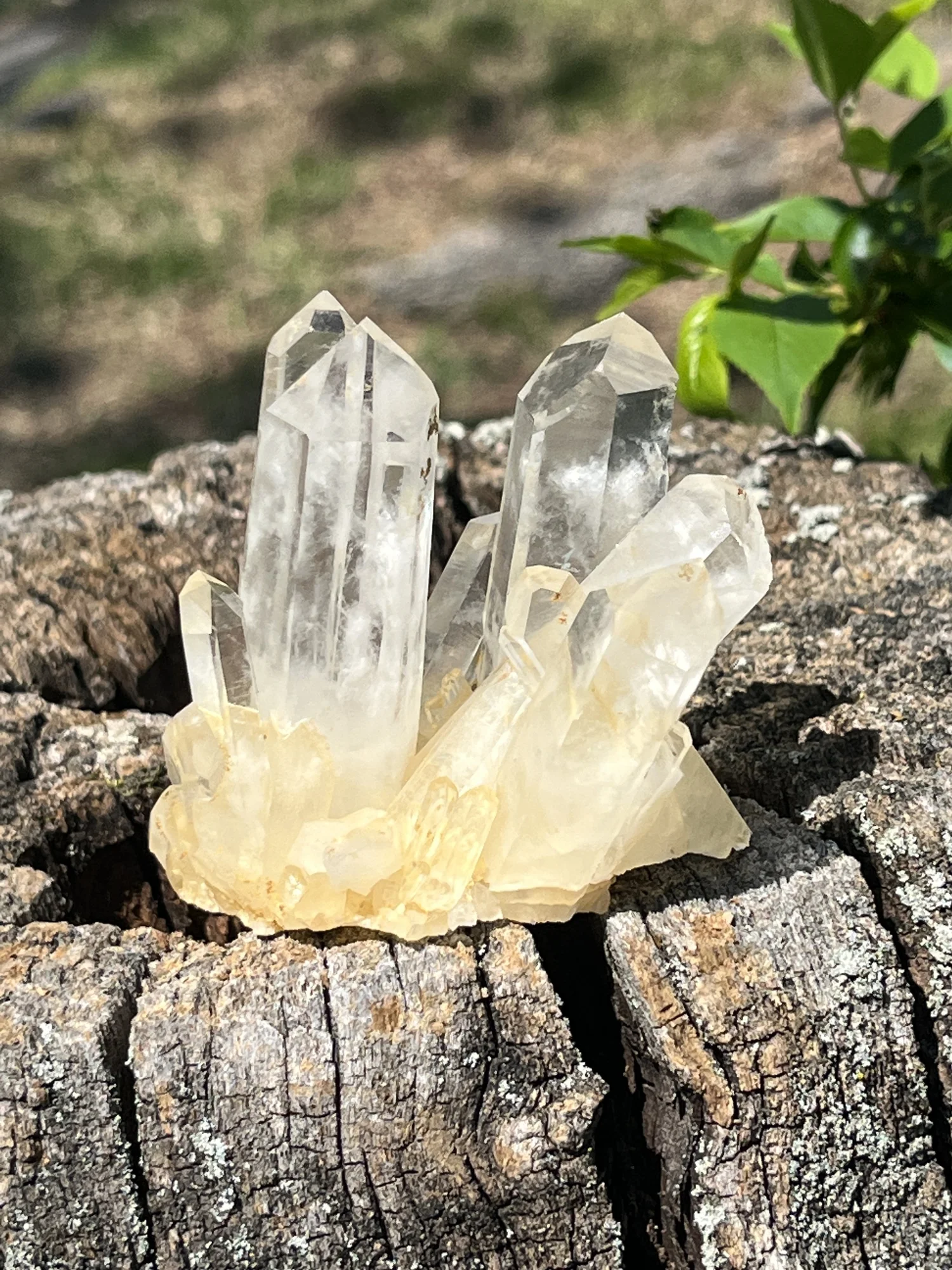 Natural Quartz Crystal