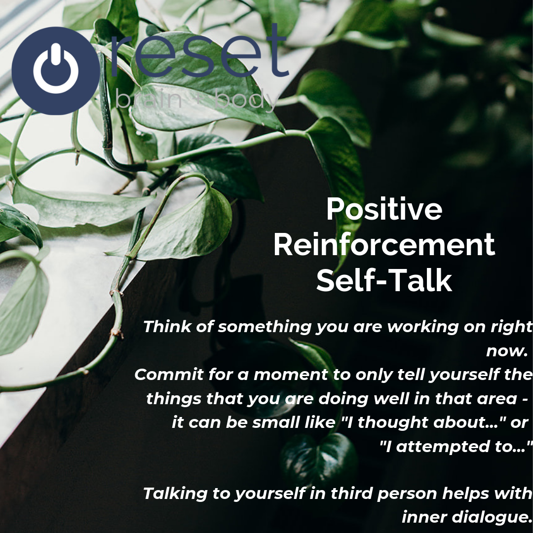 Our Favorite Non Self-Help Books for Wellness — reset brain + body ...