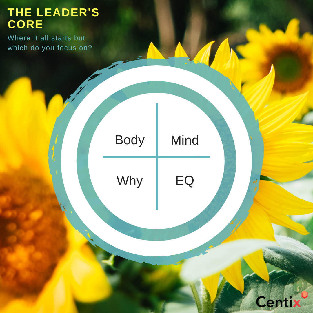 The Leader's Core Part 1 - A Root Cause — Centix Life Technologies