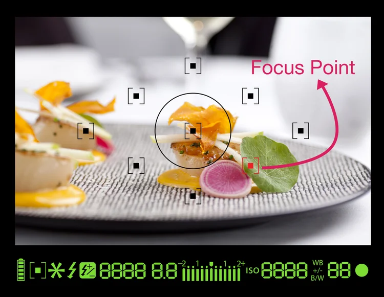 Spot focusing versus spot metering (and how use them) — STUDIO EFEF ...