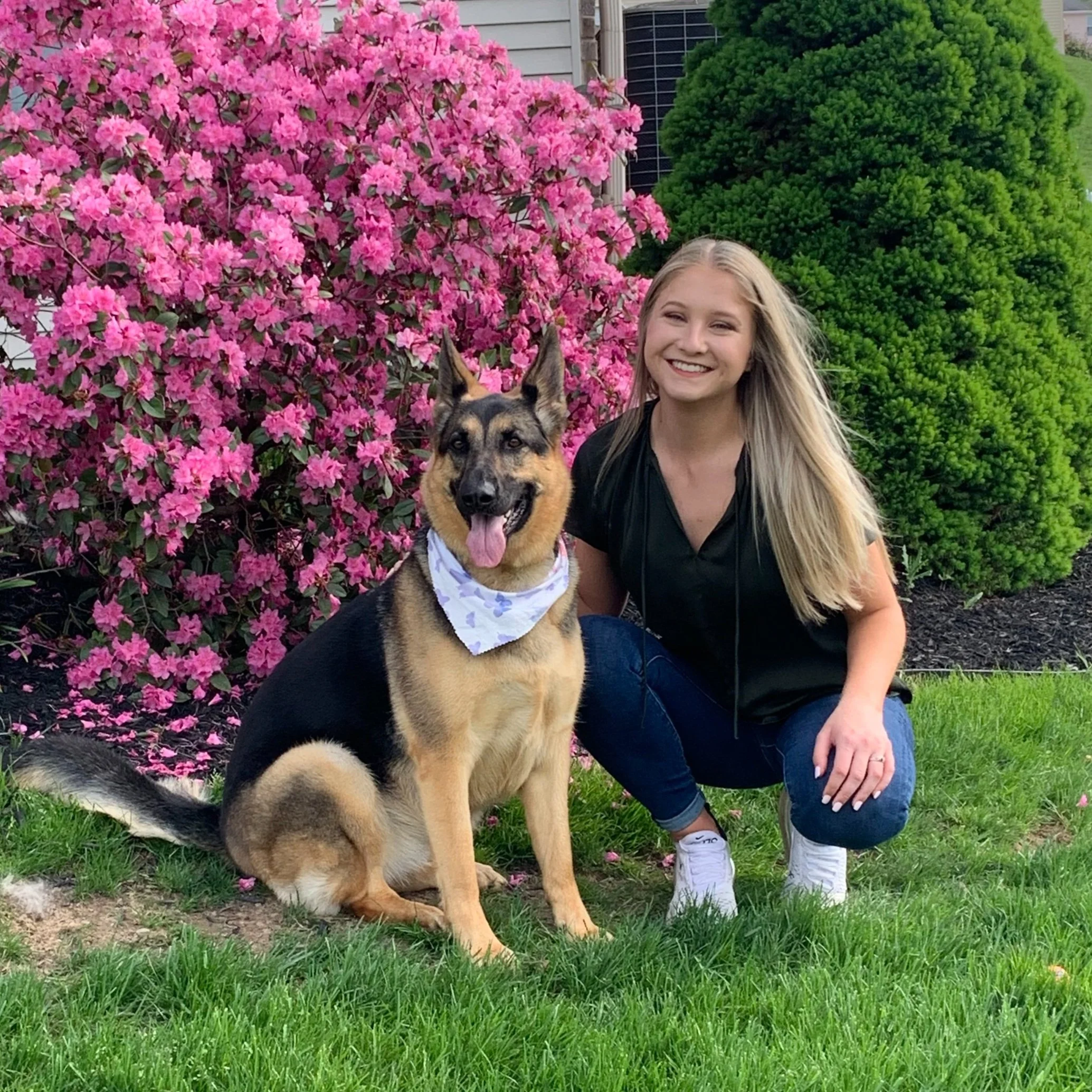 LIVIC Civil — Meet the Guides