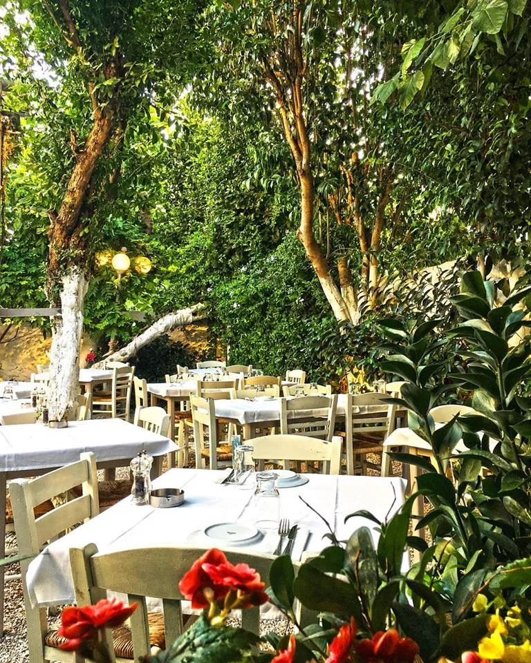 The Best Courtyards and Garden Restaurants/Cafés in Athens — Truevoyagers