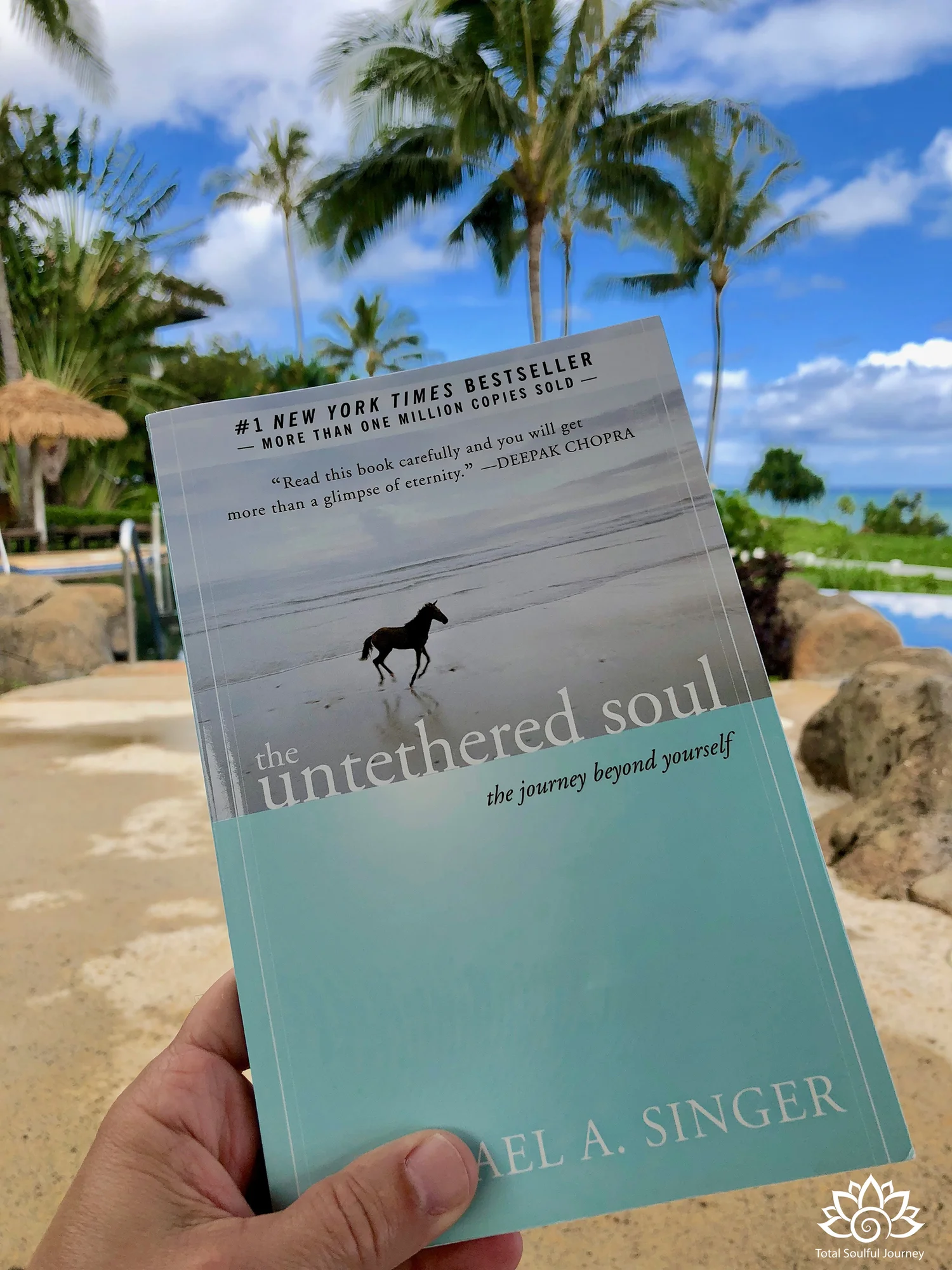 "The Untethered Soul" by Michael A. Singer - A Book Review — Total ...