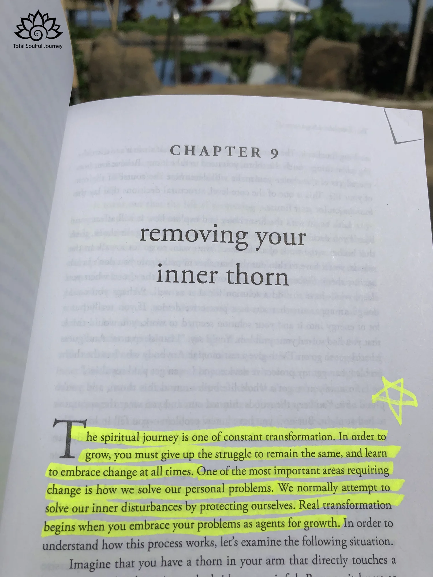 "The Untethered Soul" by Michael A. Singer - A Book Review — Total ...