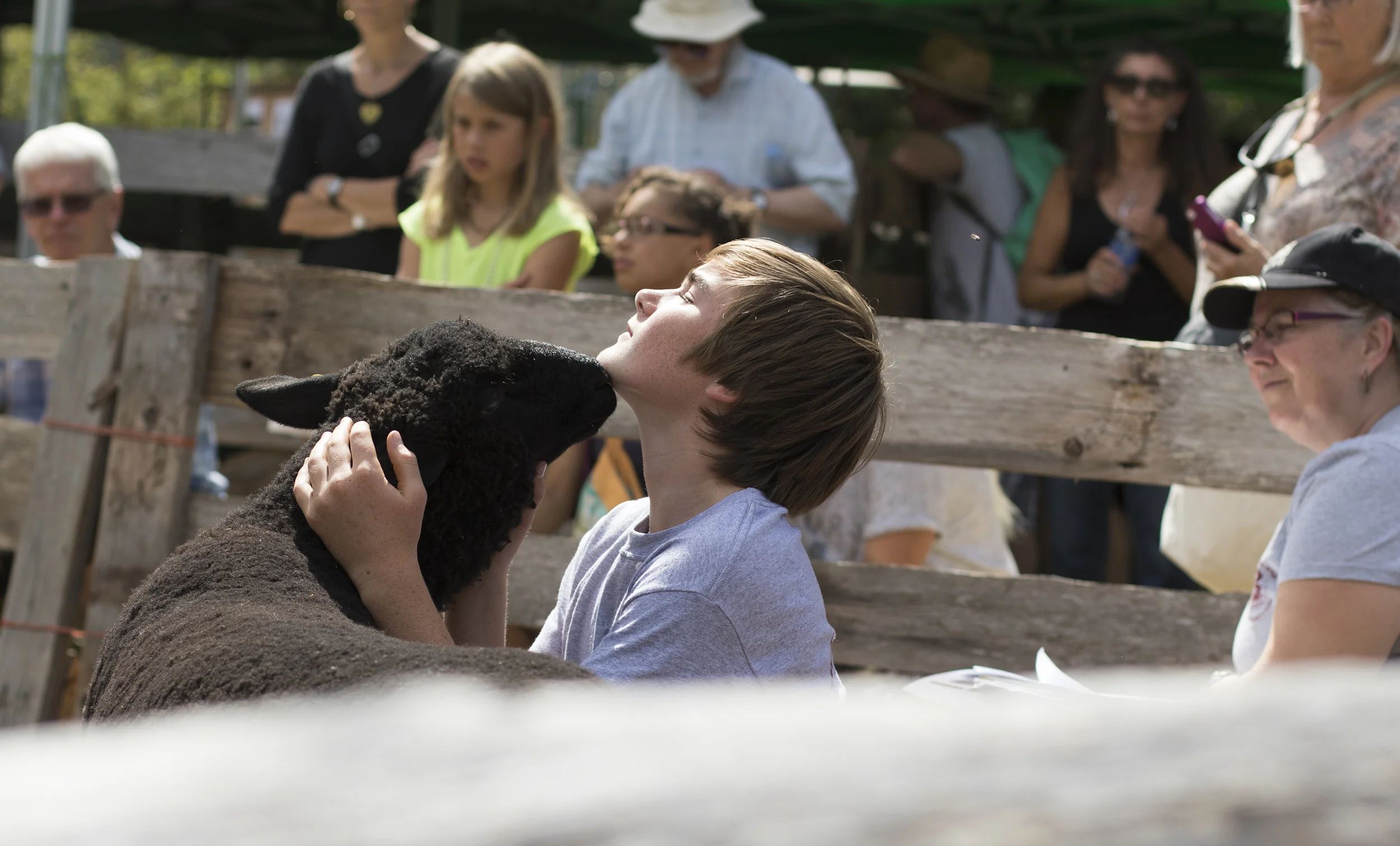 The Pender Islands Fall Fair — The Pender Islands Farmers' Institute