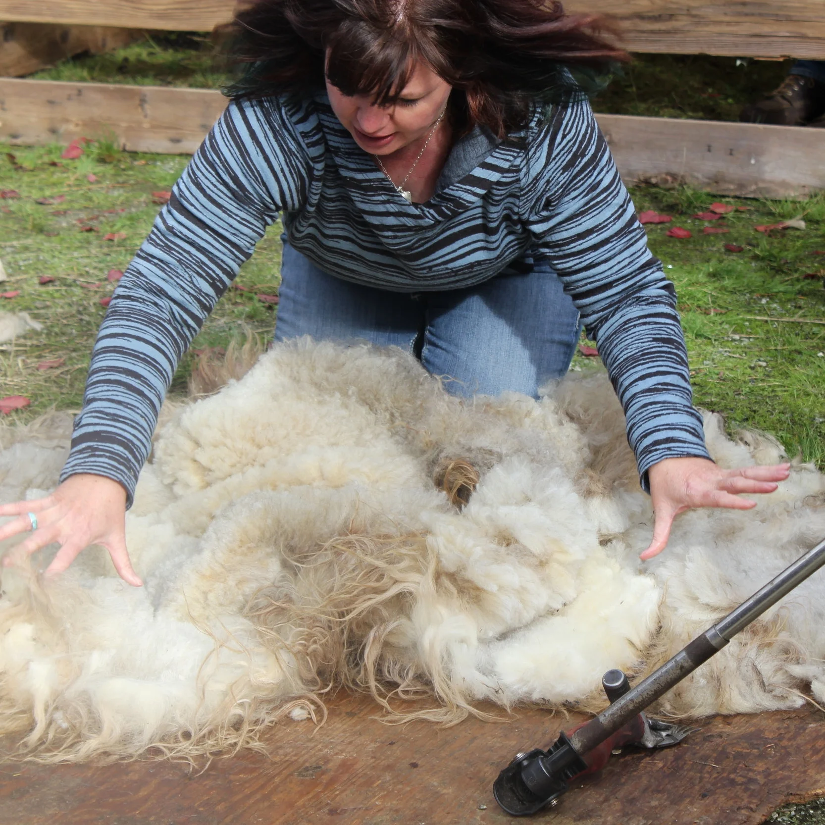 The Pender Islands Farmers Institute