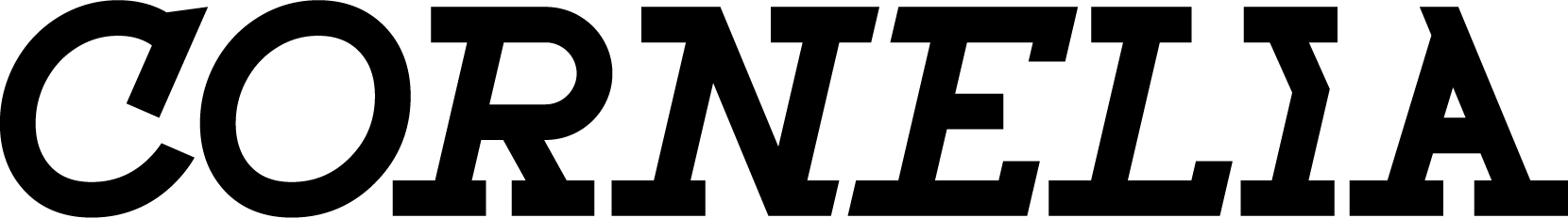 The Buffalo Institute for Contemporary Art