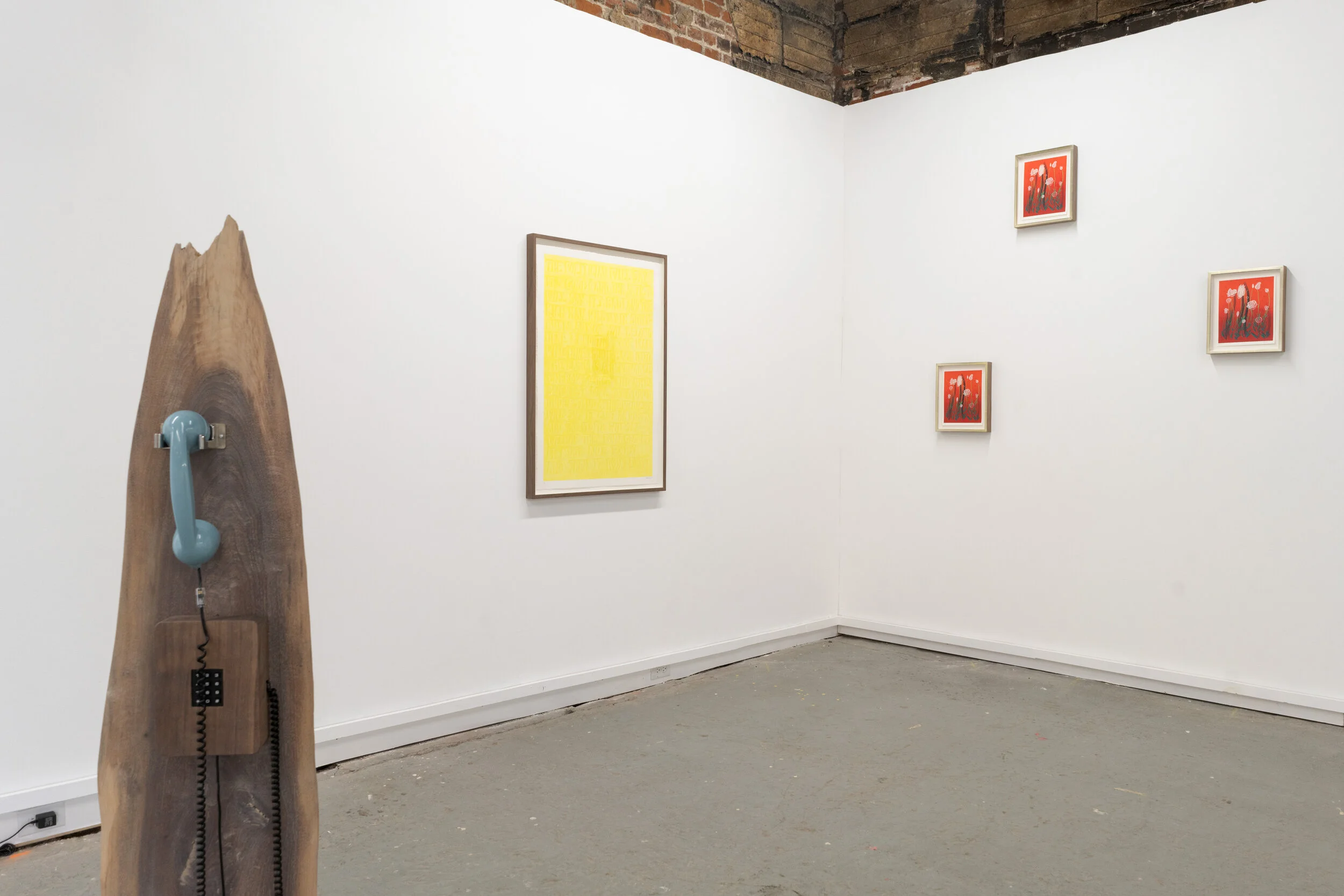 Lex Brown: Defense Mechanisms — The Buffalo Institute for Contemporary Art