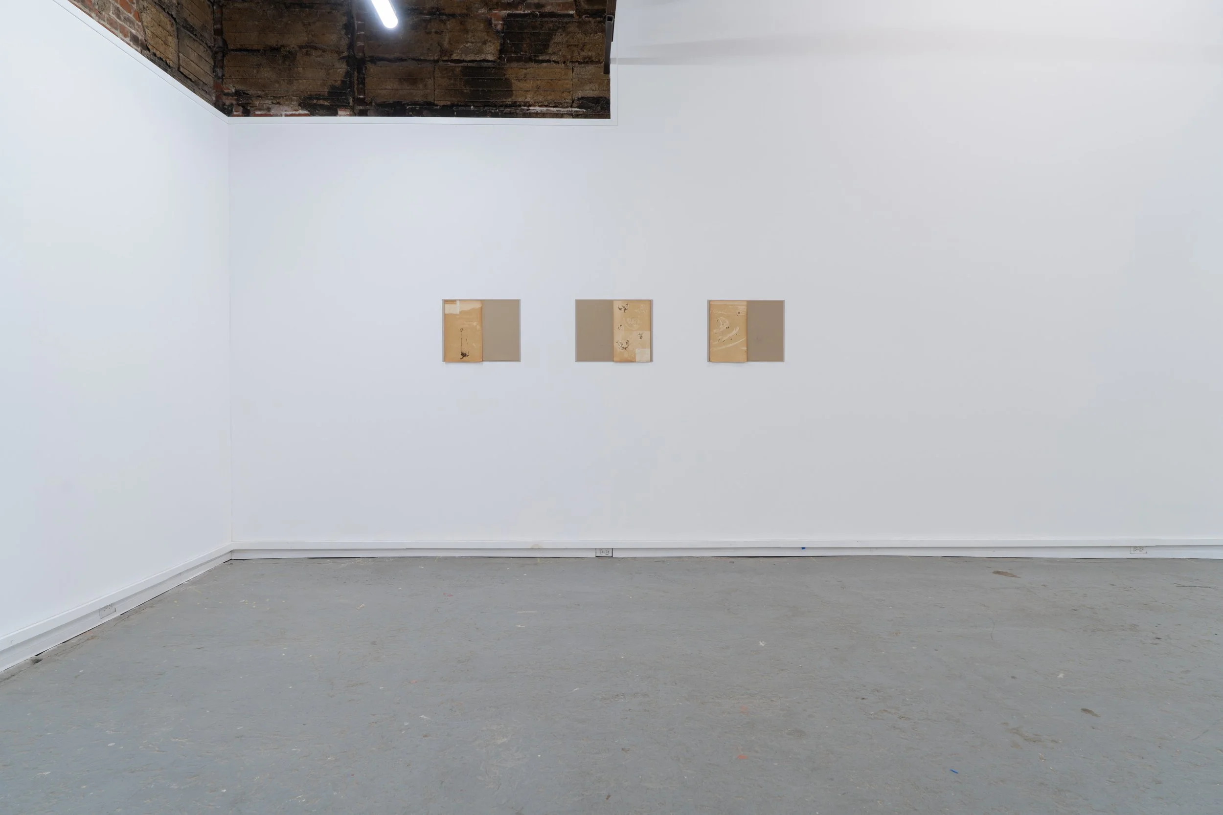 TJ Shin, The Vegetarian: The Swamp, the Swarm & the Cross — The Buffalo ...