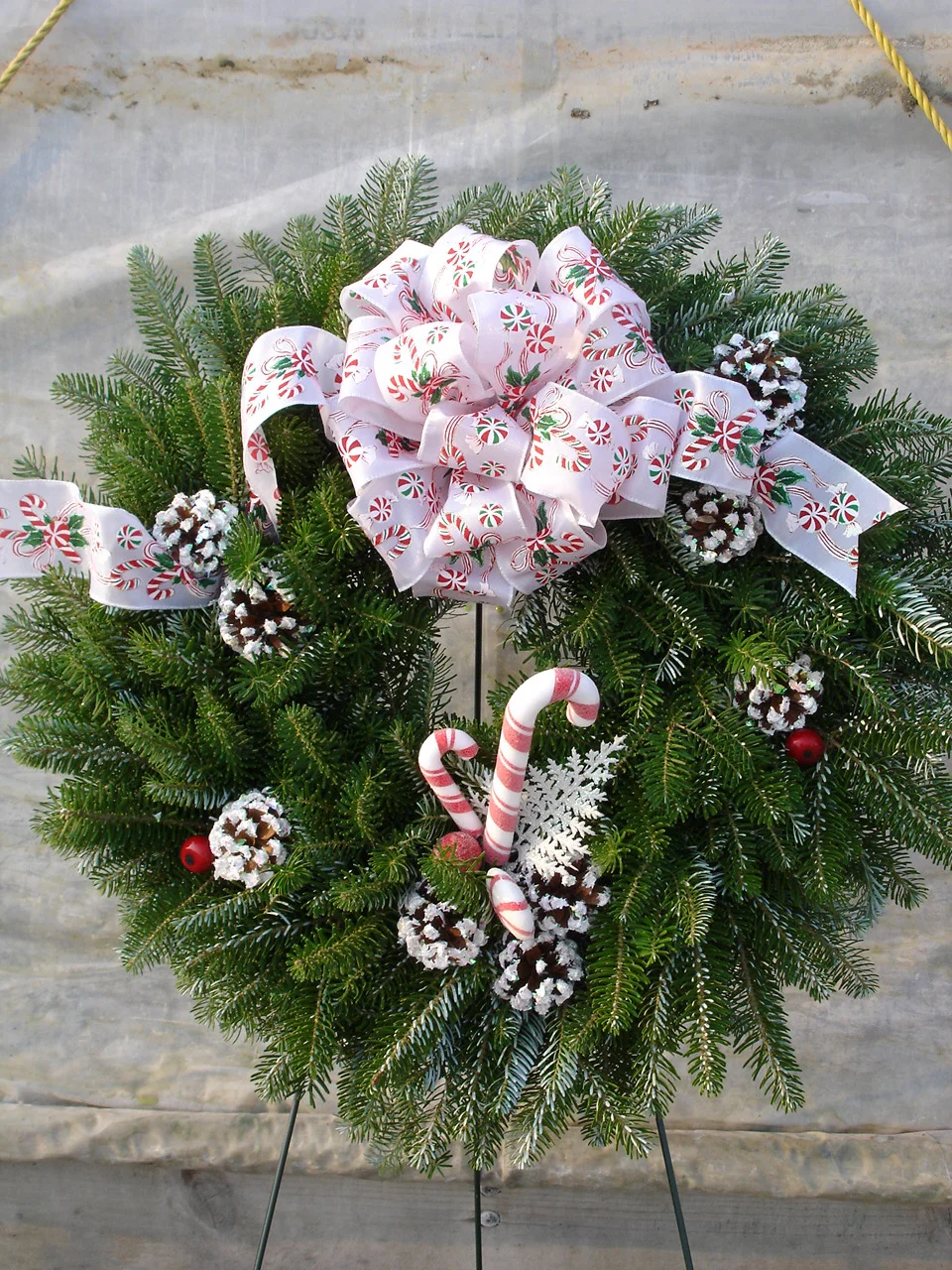 Products — Candy Cane CHRISTmas Tree Farm
