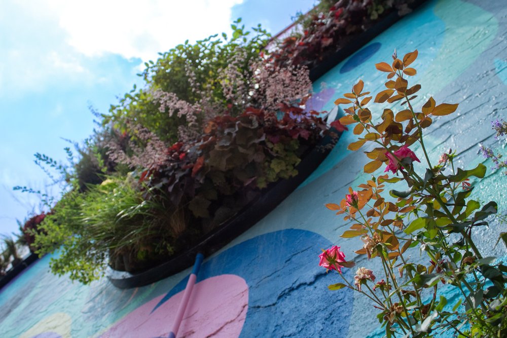 Community Spaces — Urban Blooms