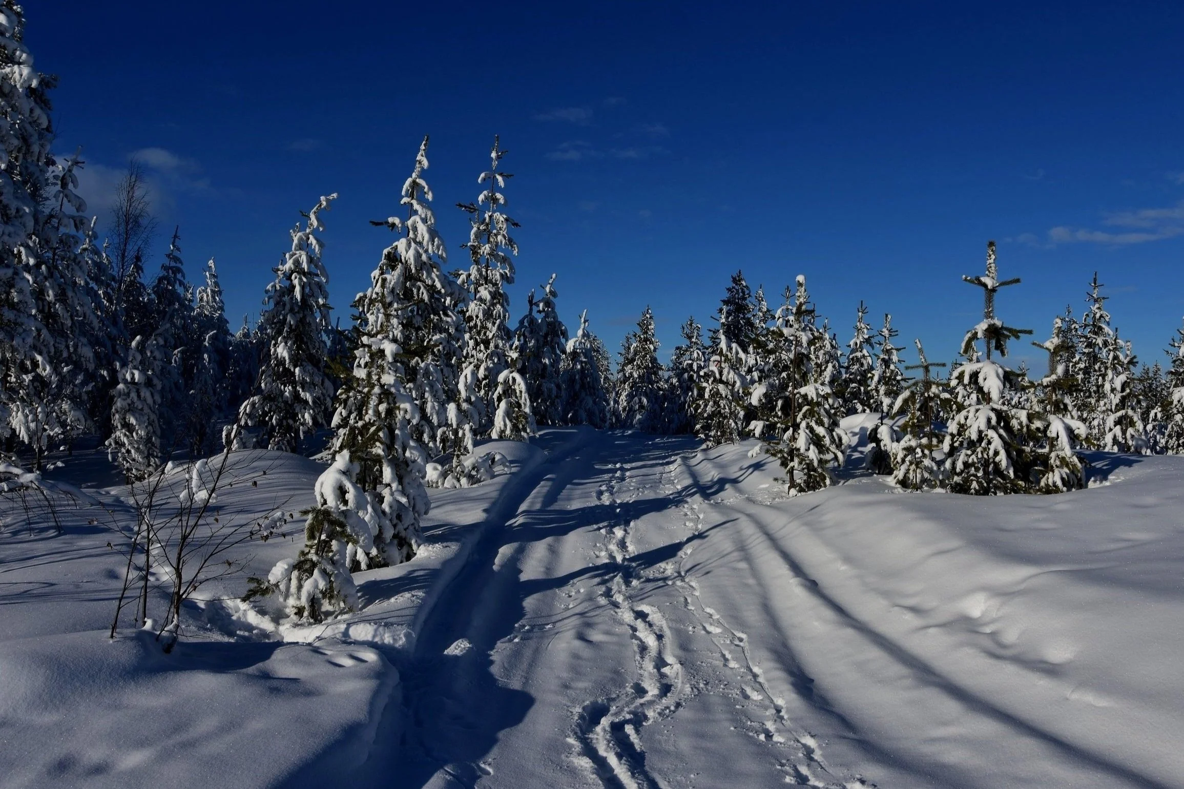 Les tonalités du territoire sami — ERCA