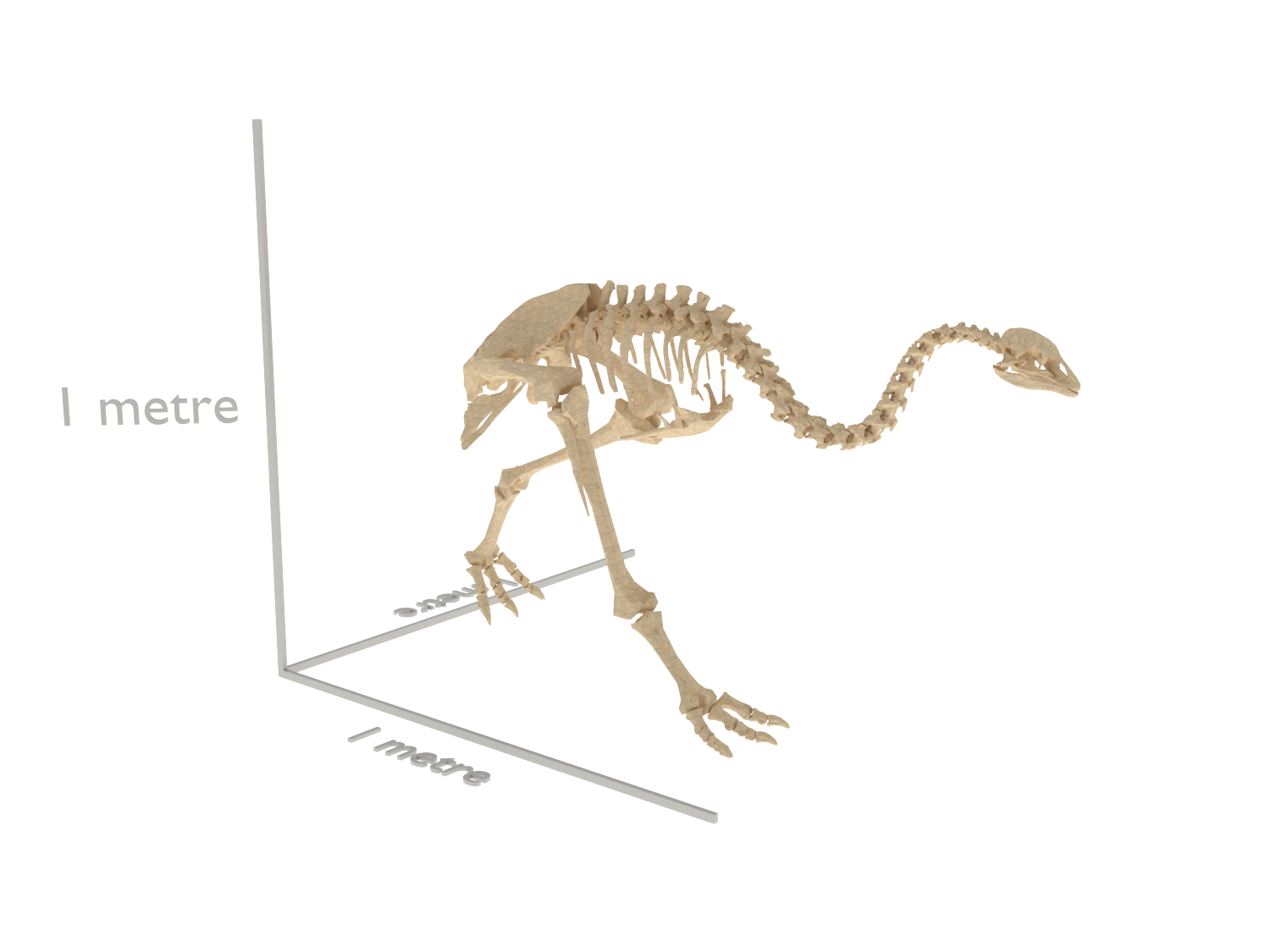 Dreambox Studio | Resources