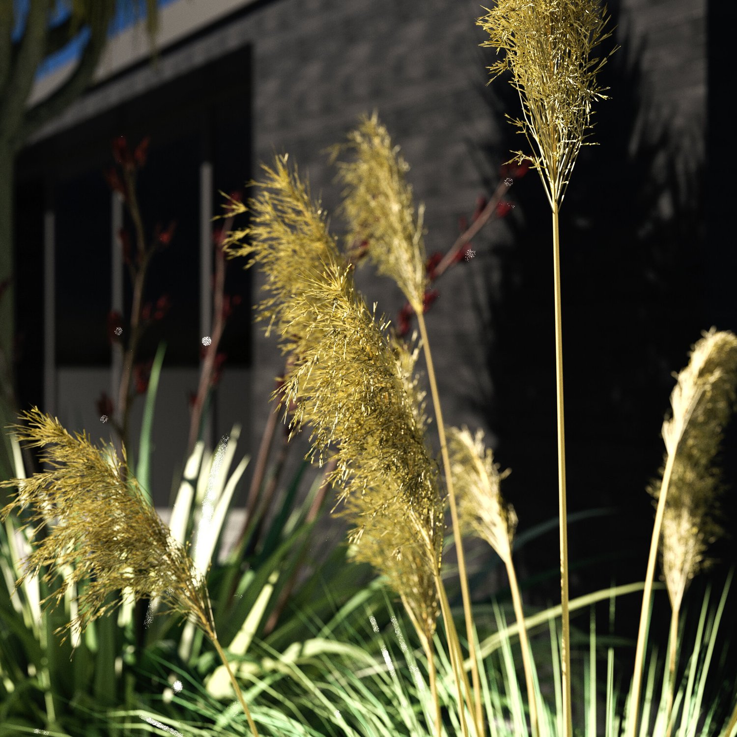 Dreambox Studio | Store