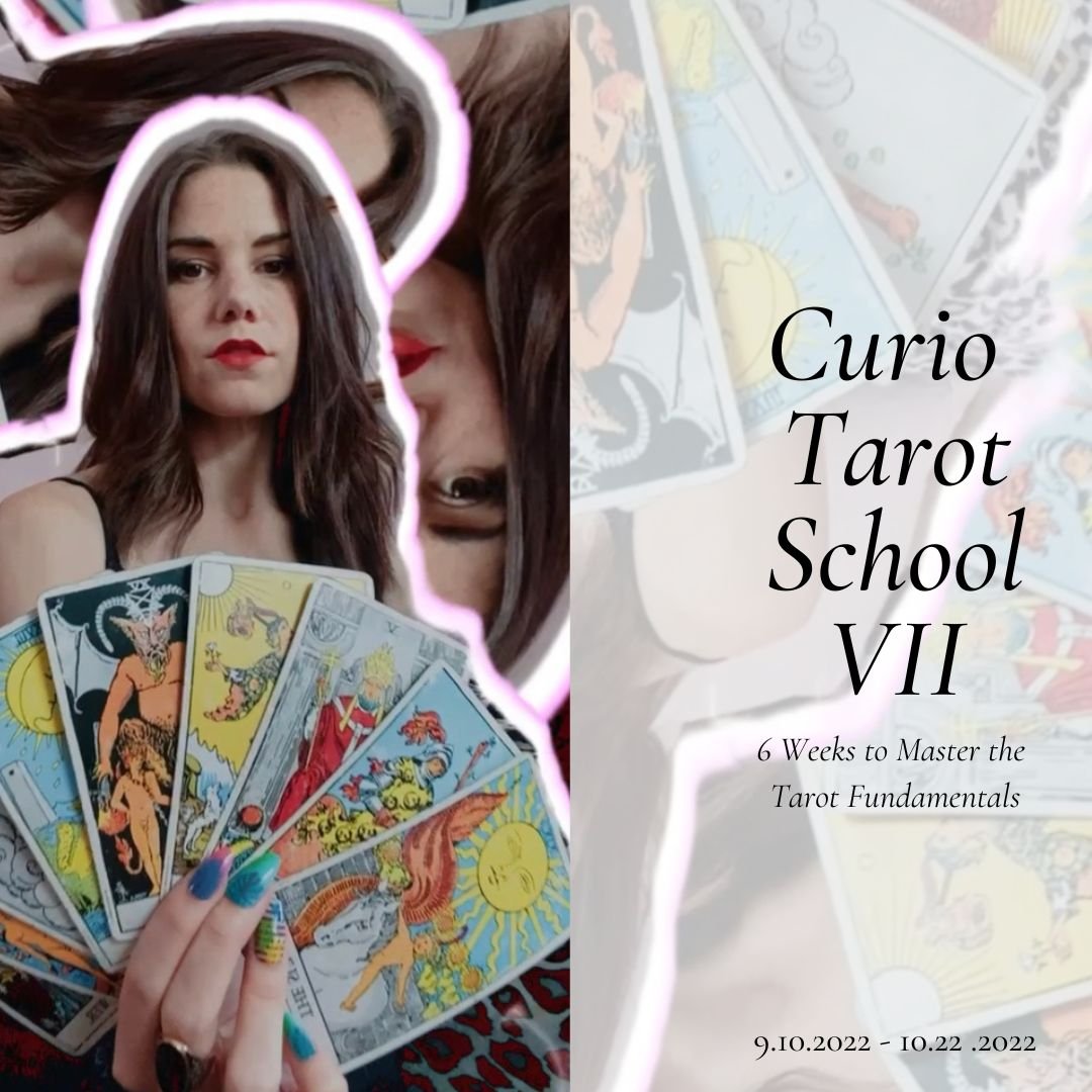 Curio Tarot School — kaitfowlie.com