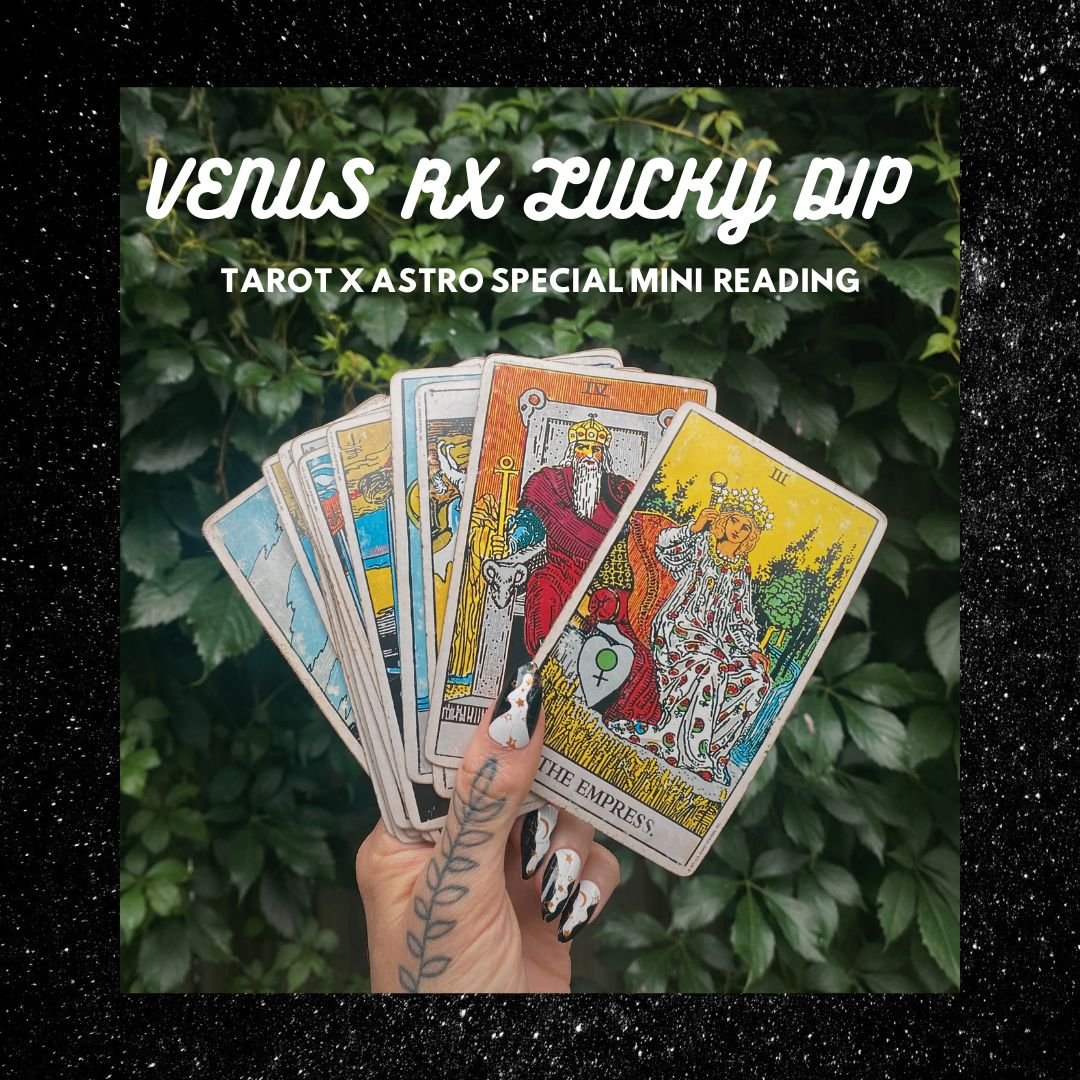 Venus RX Lucky Dip Special Mini — kaitfowlie.com