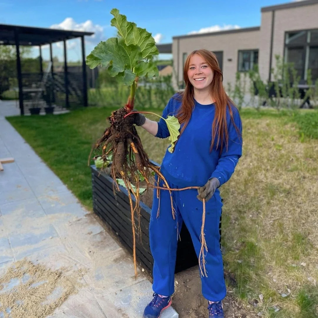 VORES INFLUENCERE — BASHagency