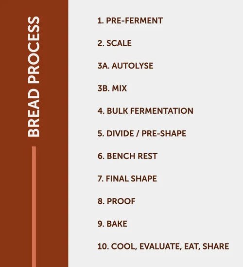 Baking with Sourdough — Rebel Bread