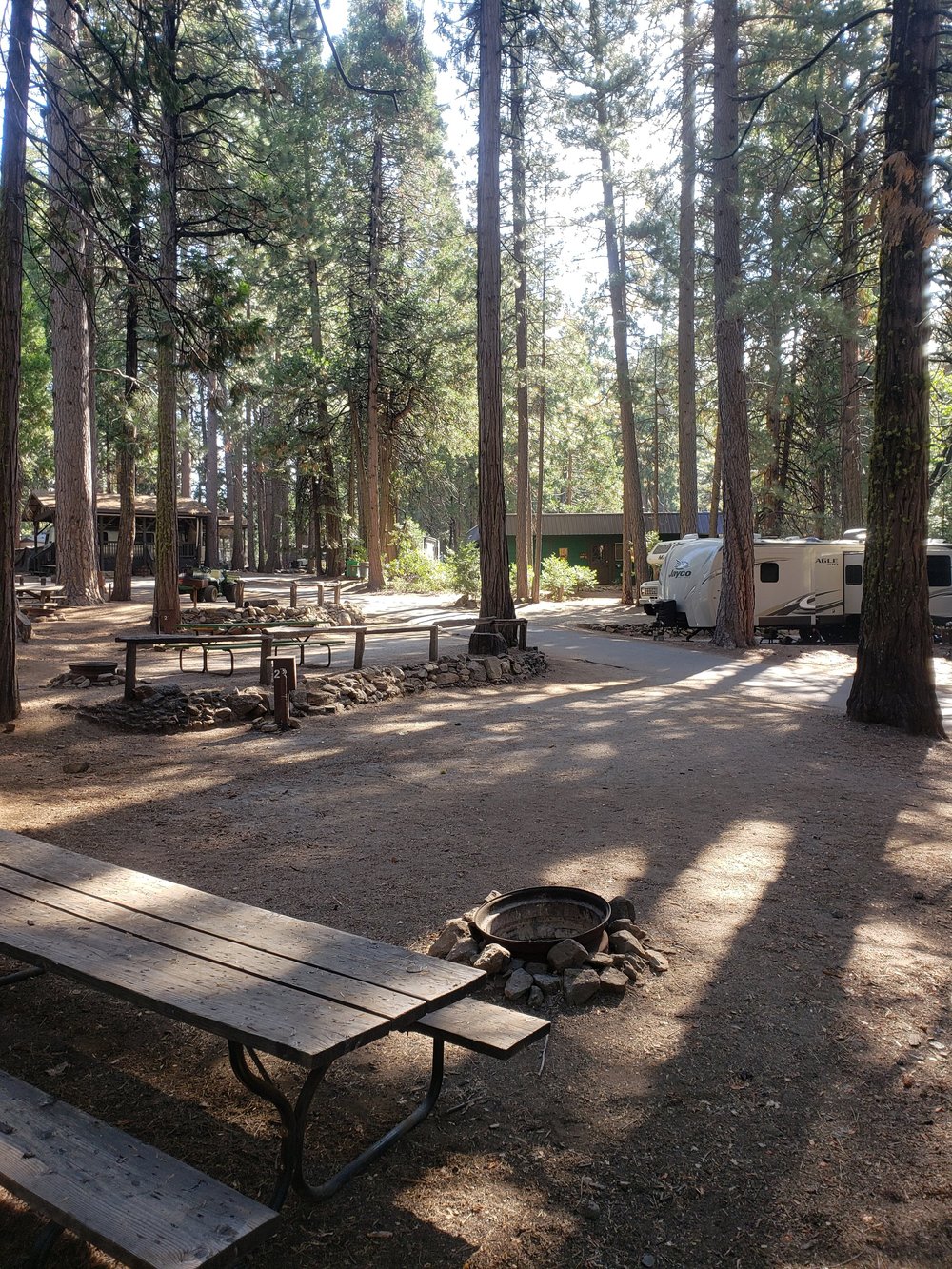 Site Photos - RVs — Golden Pines RV & Campground - Arnold, CA
