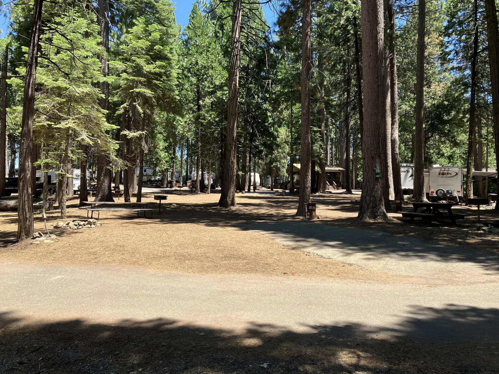 Site Photos - RVs — Golden Pines RV & Campground - Arnold, CA