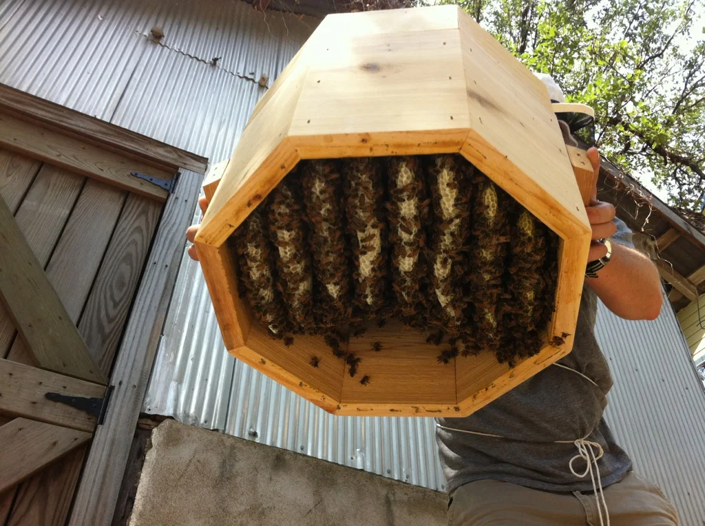 See what our customers have to say about us — The Warre Store